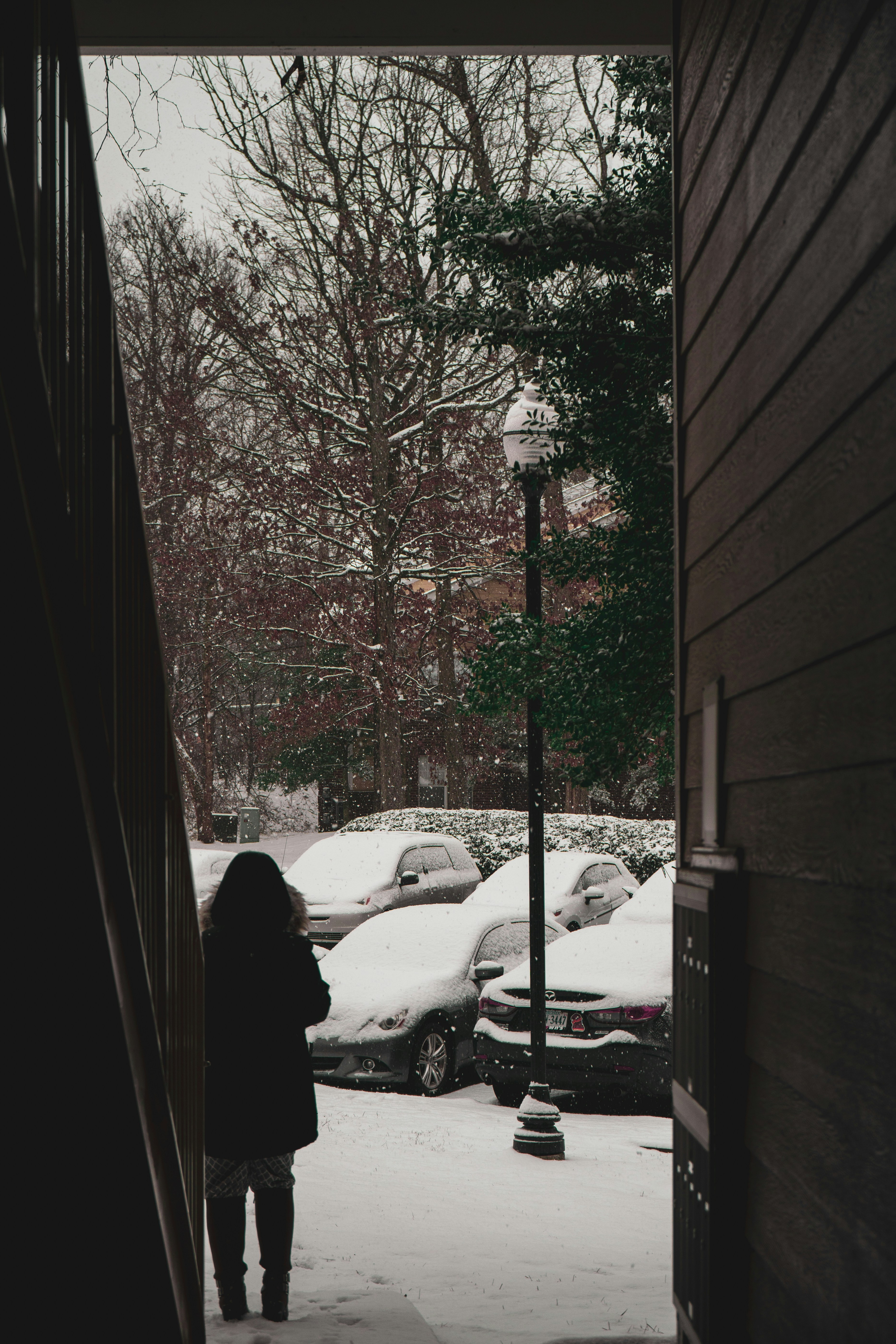 A figure stands in the snow, gazing at parked cars blanketed in white, framed by a snowy landscape and a lamppost. 