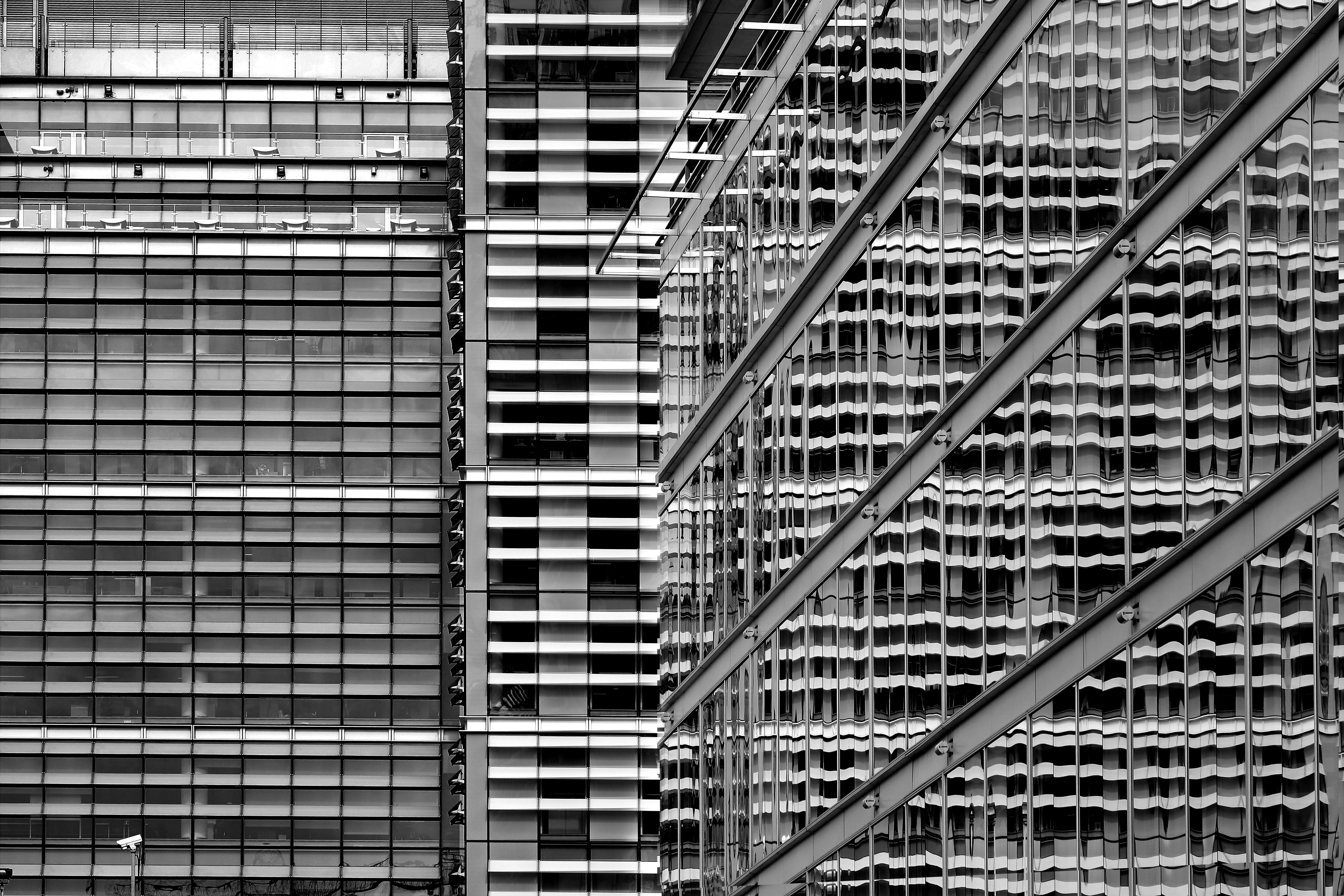 peter muskrat (@peterm4988372) | Unsplash Photo Community