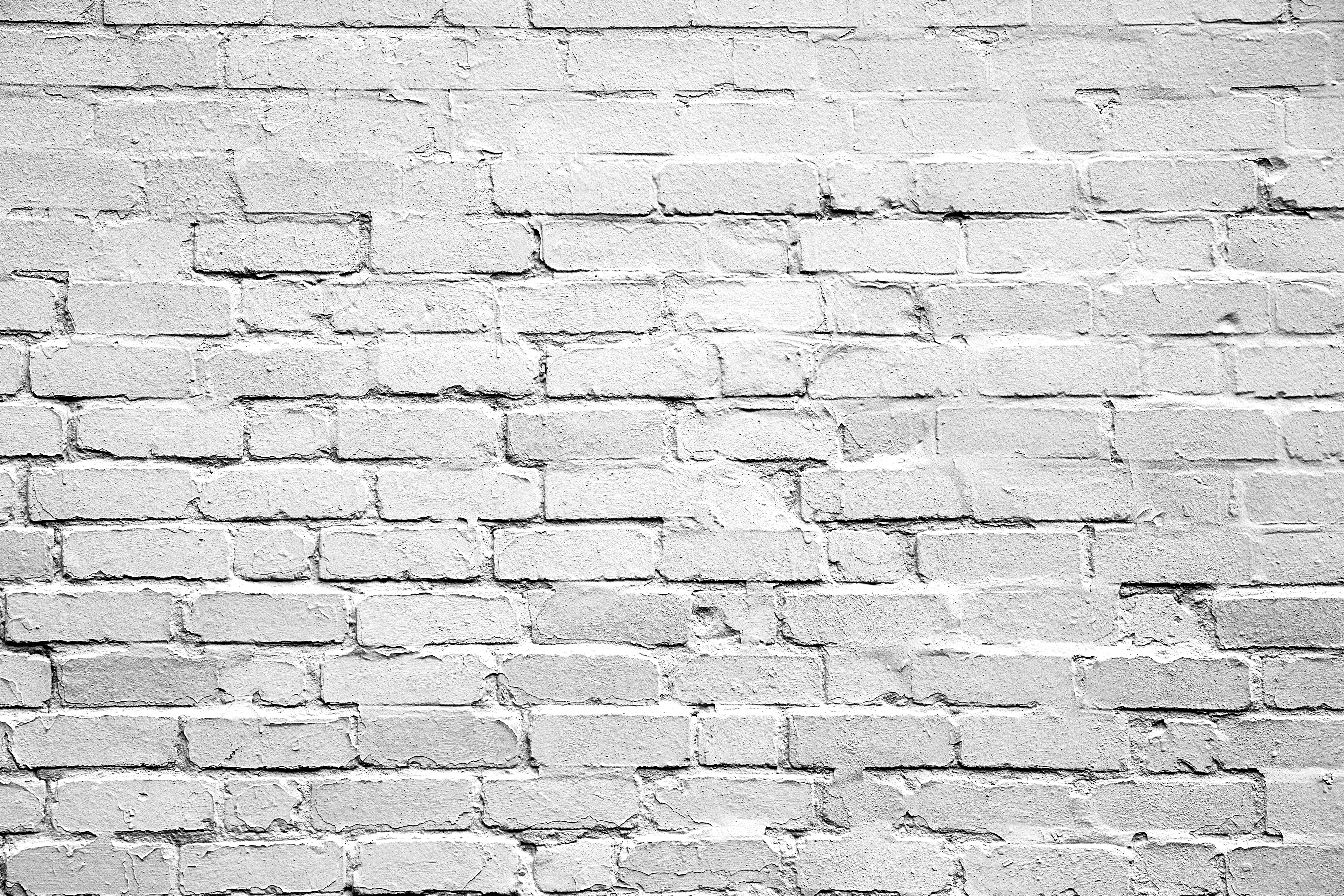 peter muskrat (@peterm4988372) | Unsplash Photo Community