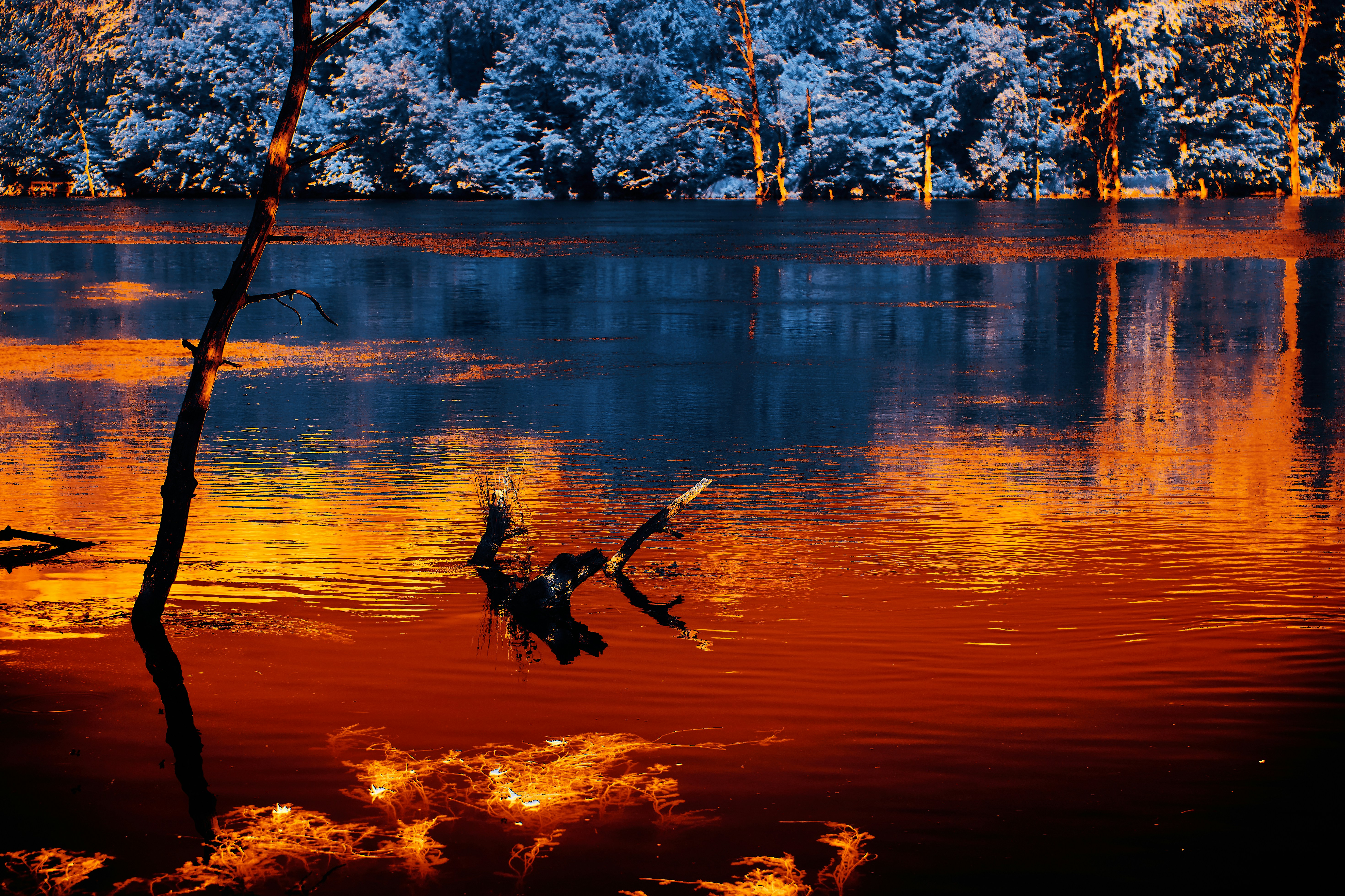 A stark contrast of vibrant orange and deep blue hues reflecting off a serene lake, with a solitary tree partially submerged in the water. The scene evokes a sense of calm and wonder.