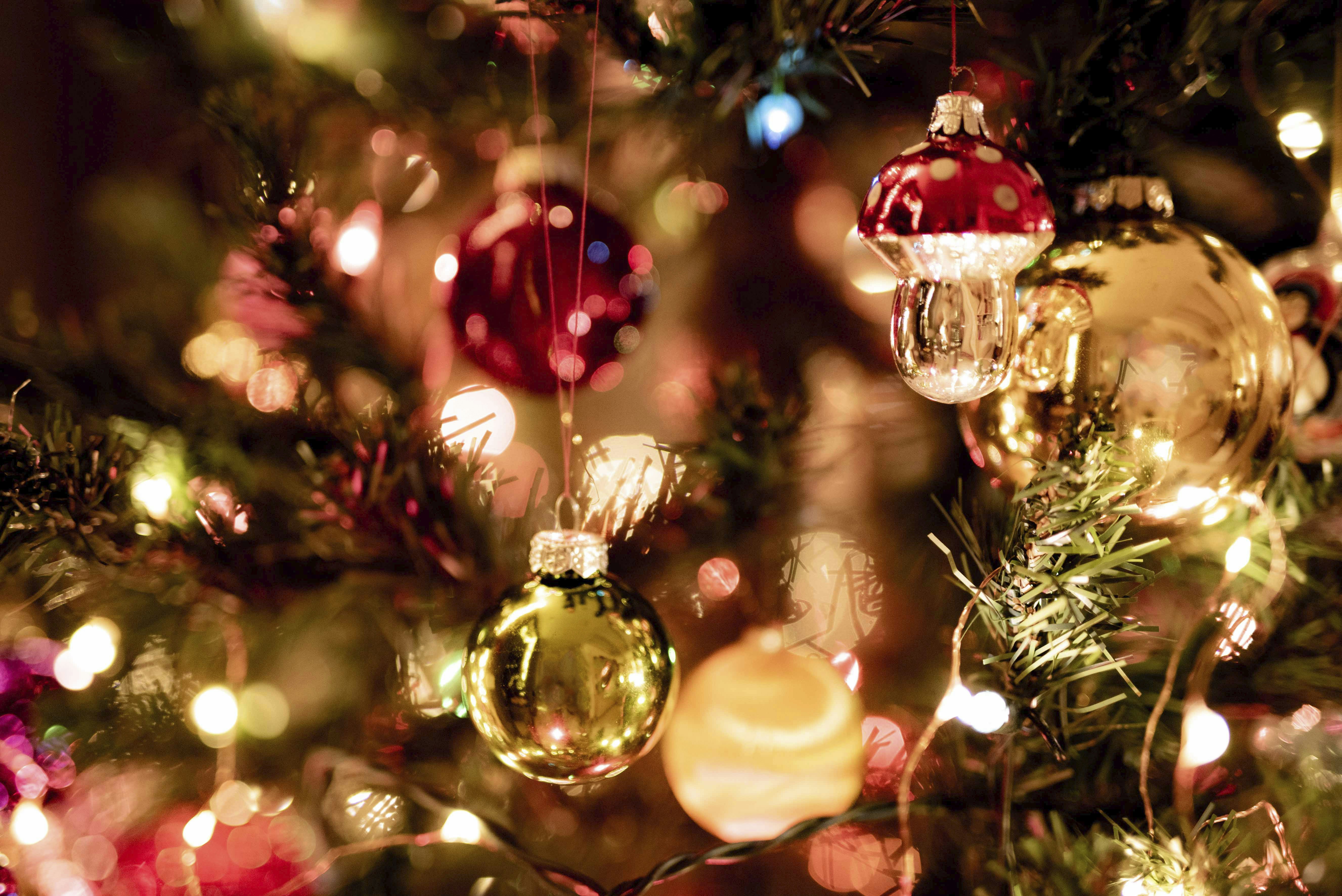 Red and yellow baubles on green christmas tree photo – Free Christmas ...