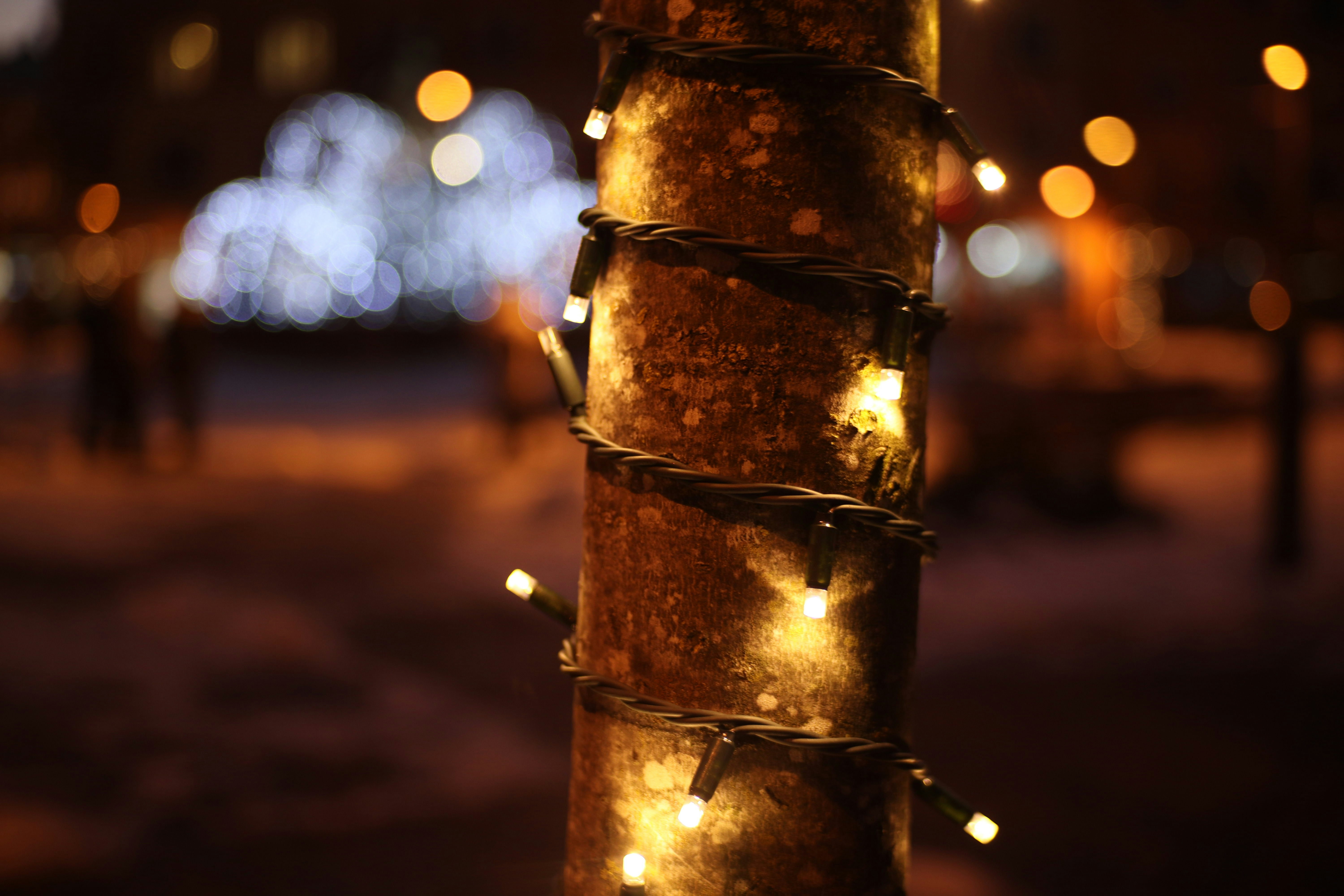 Twinkling Spotlight: A Wrapped Night on a Frosty Post