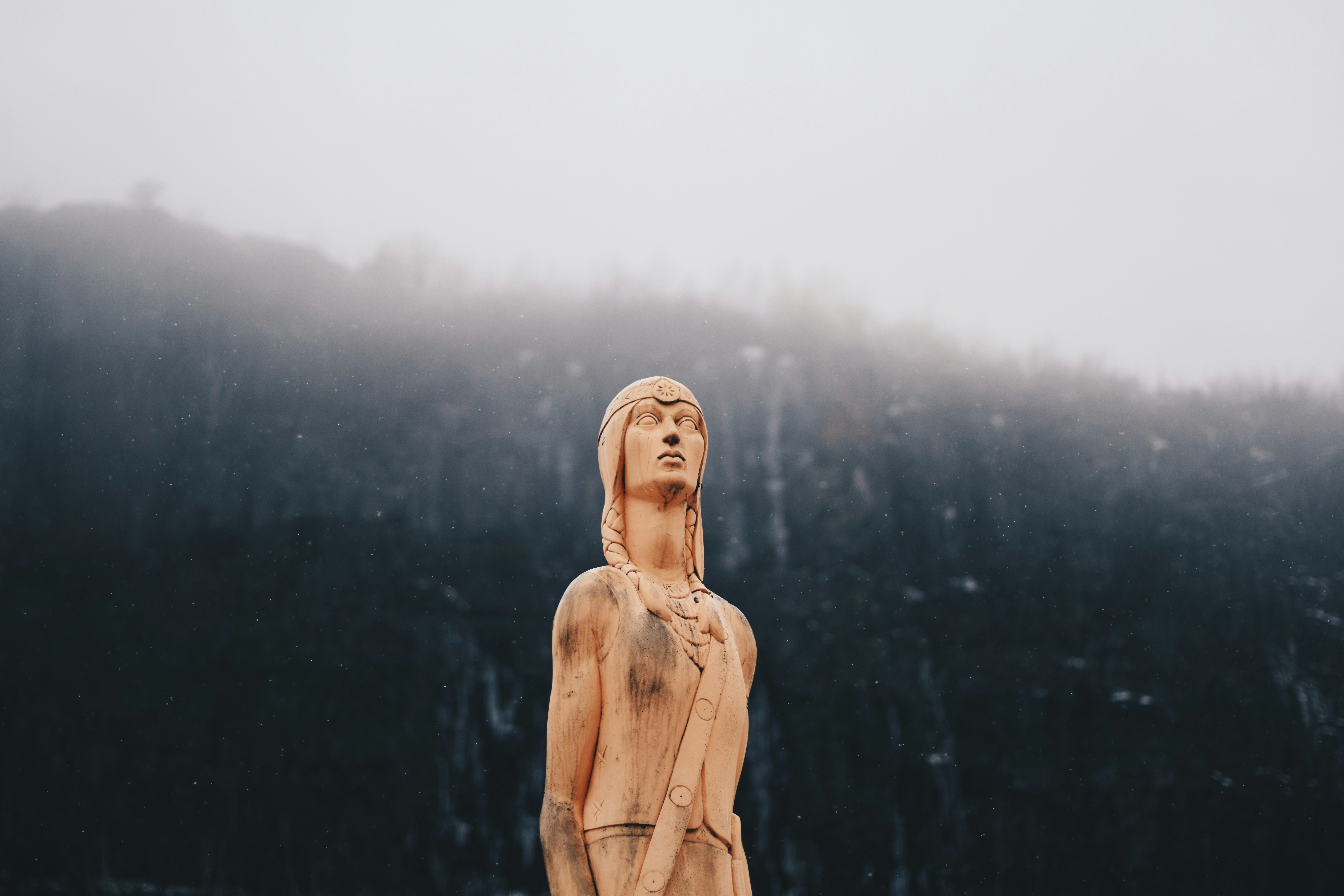 Intricately carved wooden statue standing against a misty backdrop of mountains, embodying a sense of watchfulness and connection to the earth.