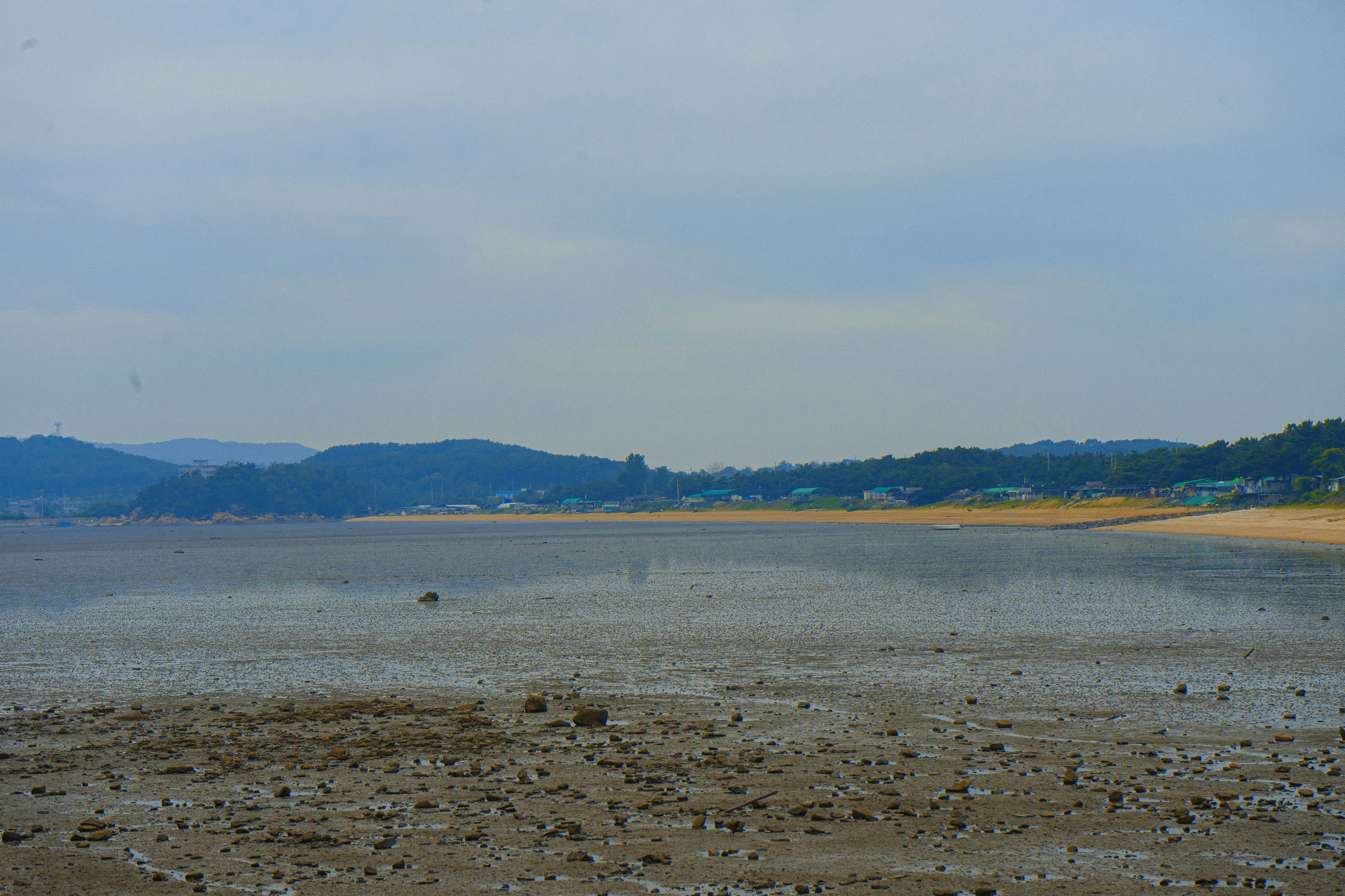 Mudflats to Horizon: A Quiet Coastal Vista with a Distant Village