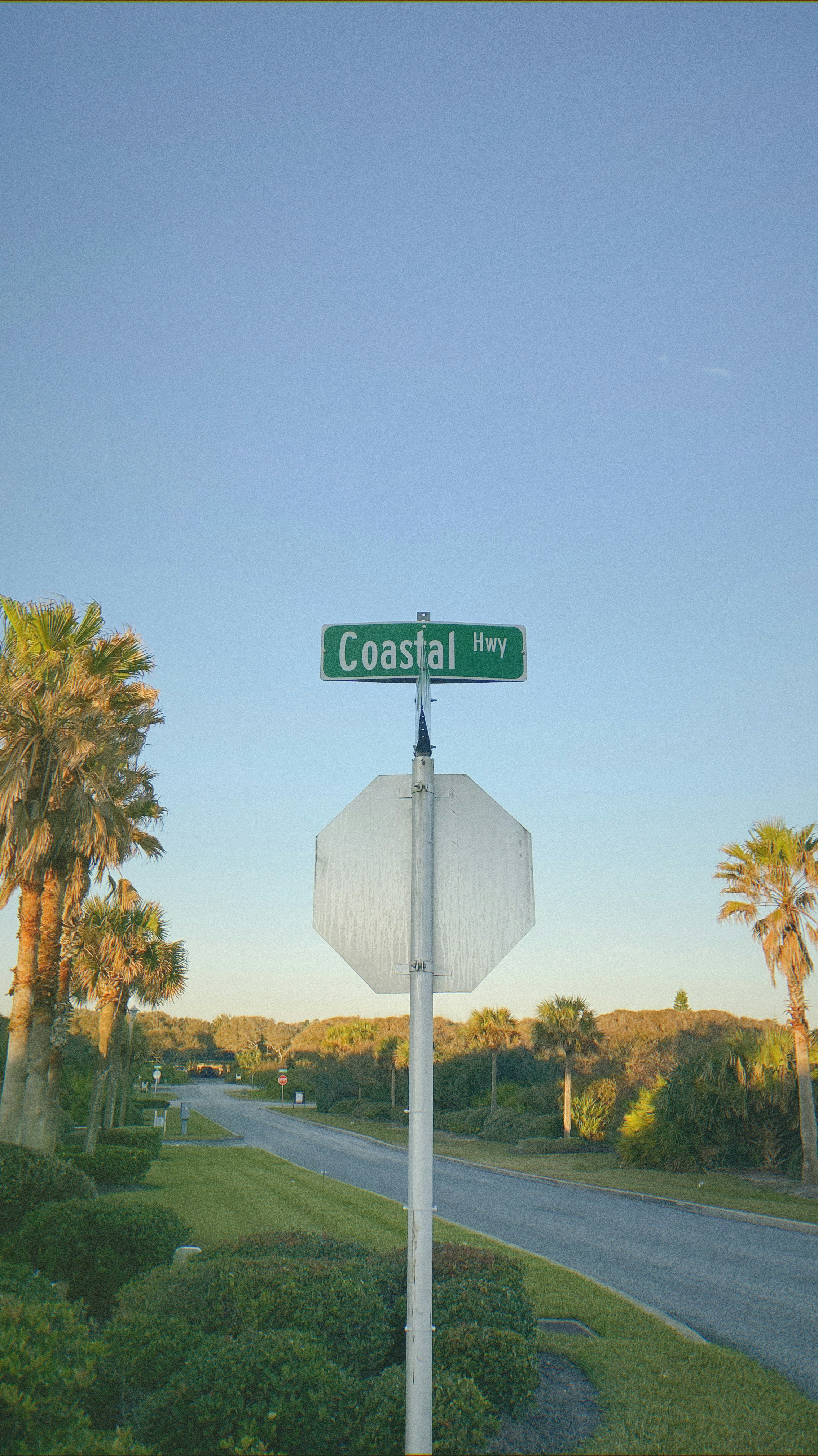 Coastal Highway Sign at Golden Hour, Palm-Lined Avenue