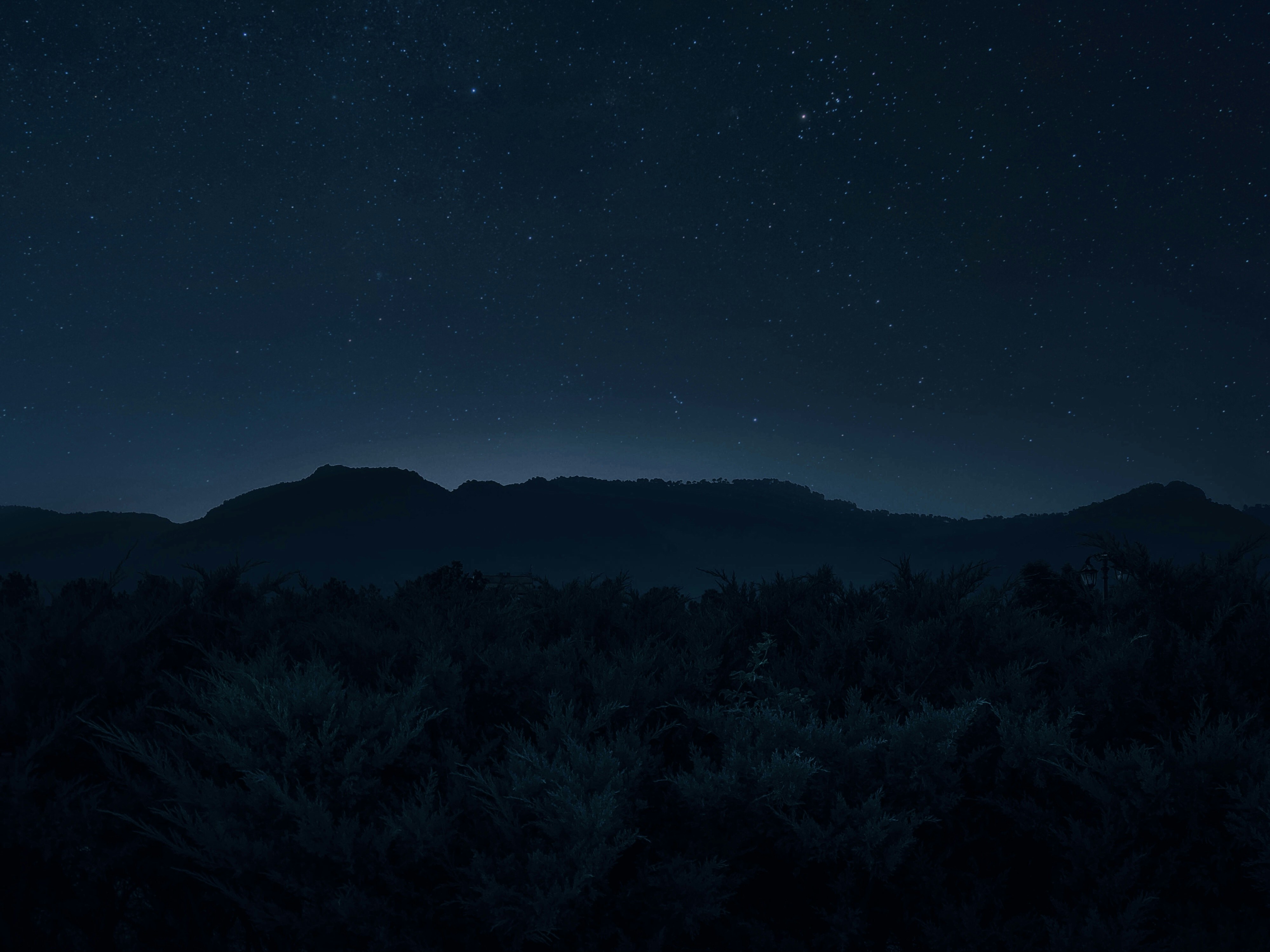 Star-filled night sky above a silhouette of distant mountains and dense foliage.