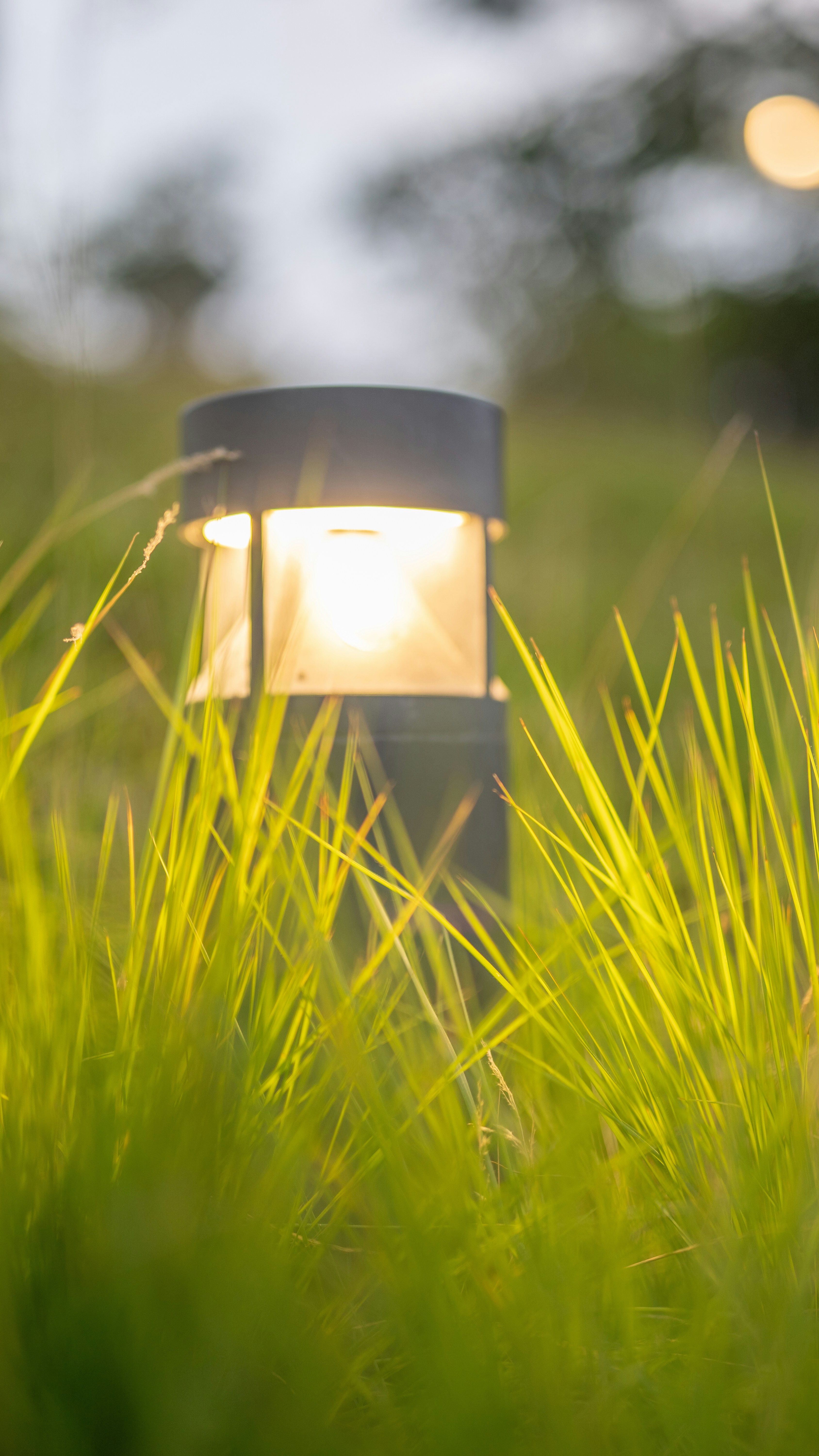 Glowing Lantern in a Field at Dusk