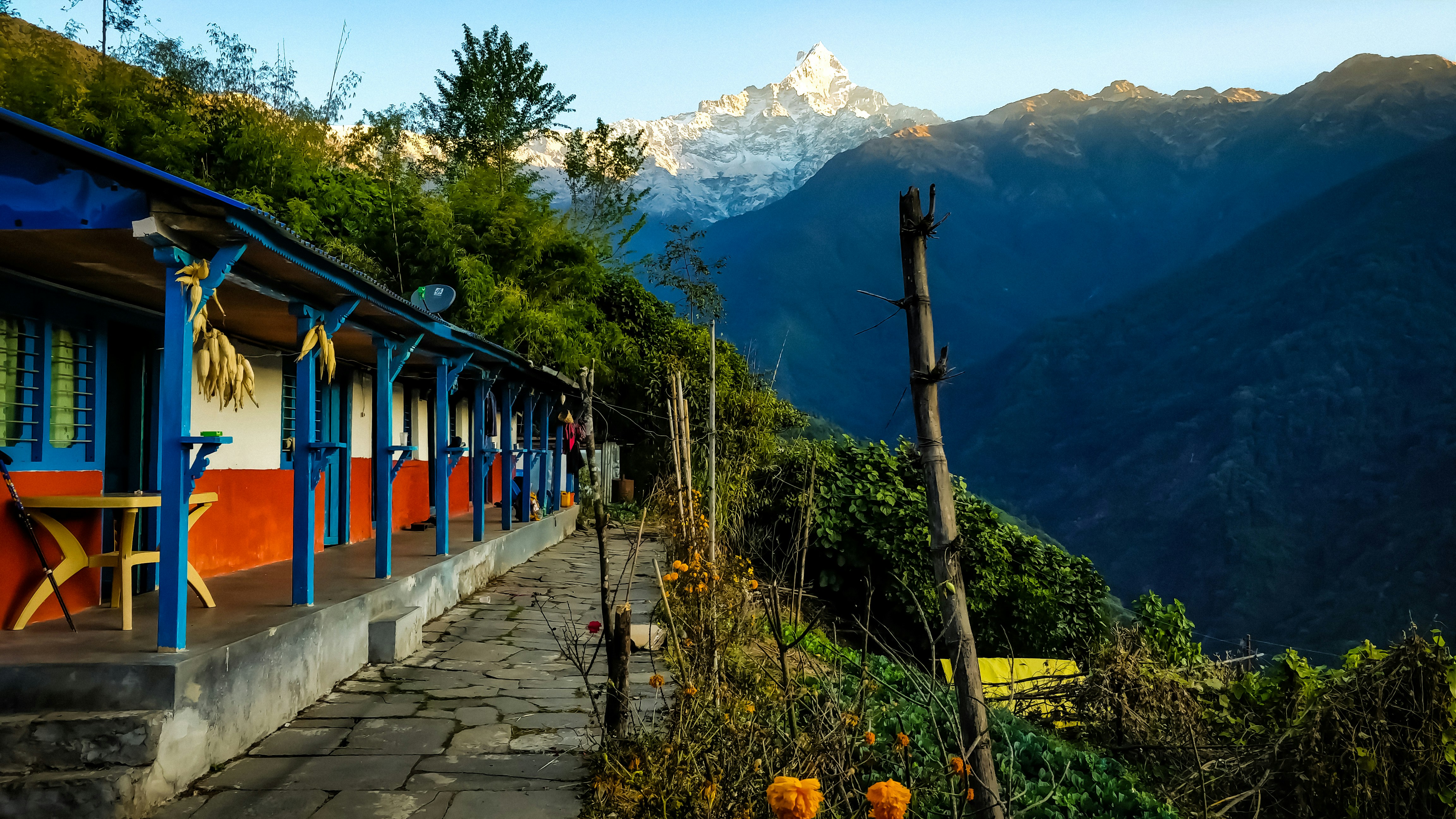 Ashok Nepal (@asok_nepal) | Unsplash 사진 커뮤니티