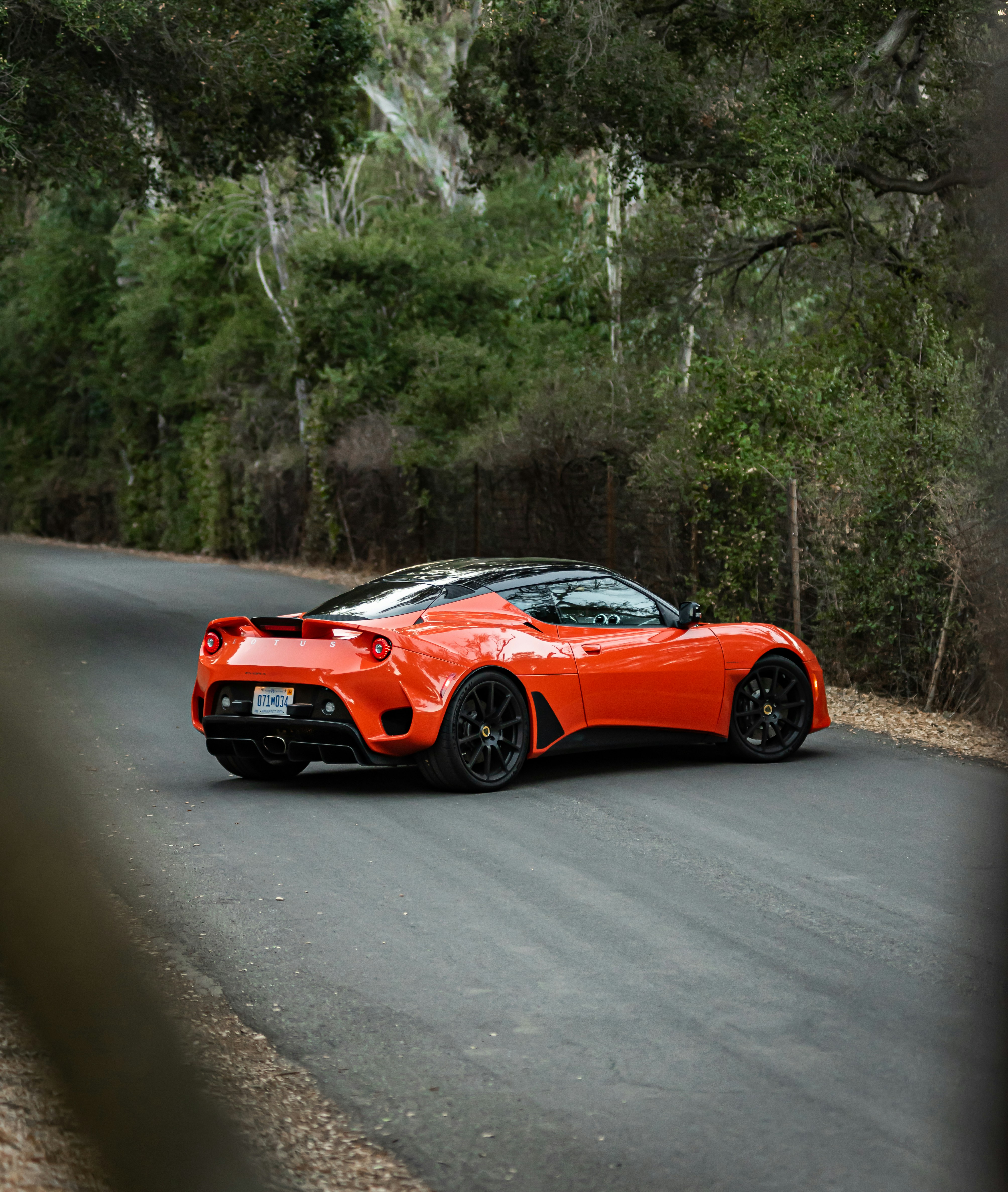 Crimson Exotic Navigates a Forested Curve