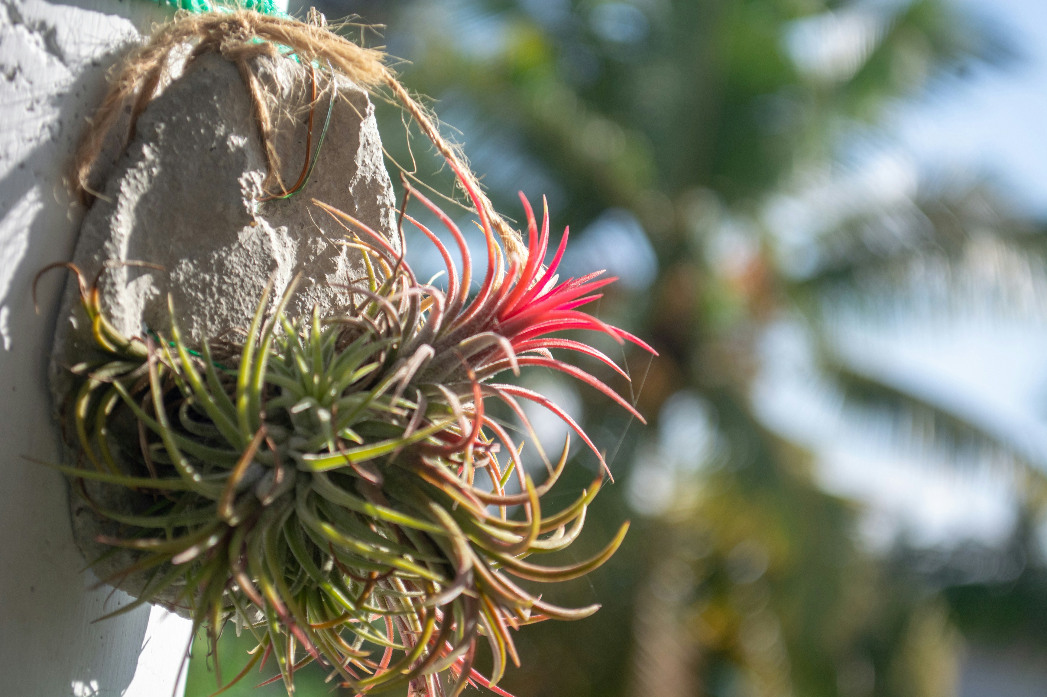 Drifting Desk (@driftingdesk) | Comunidade de fotos da Unsplash