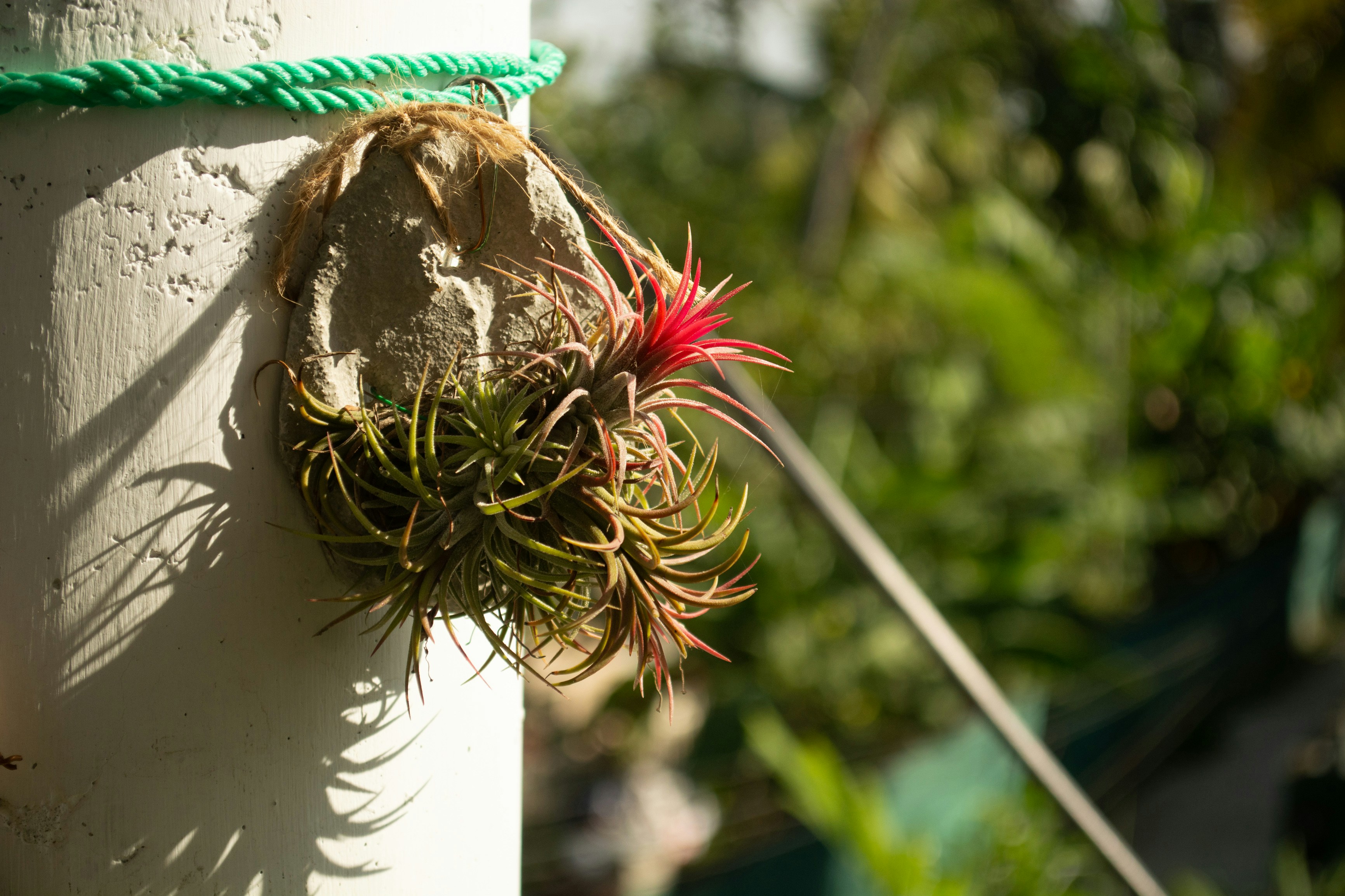 Drifting Desk (@driftingdesk) | Comunidade de fotos da Unsplash