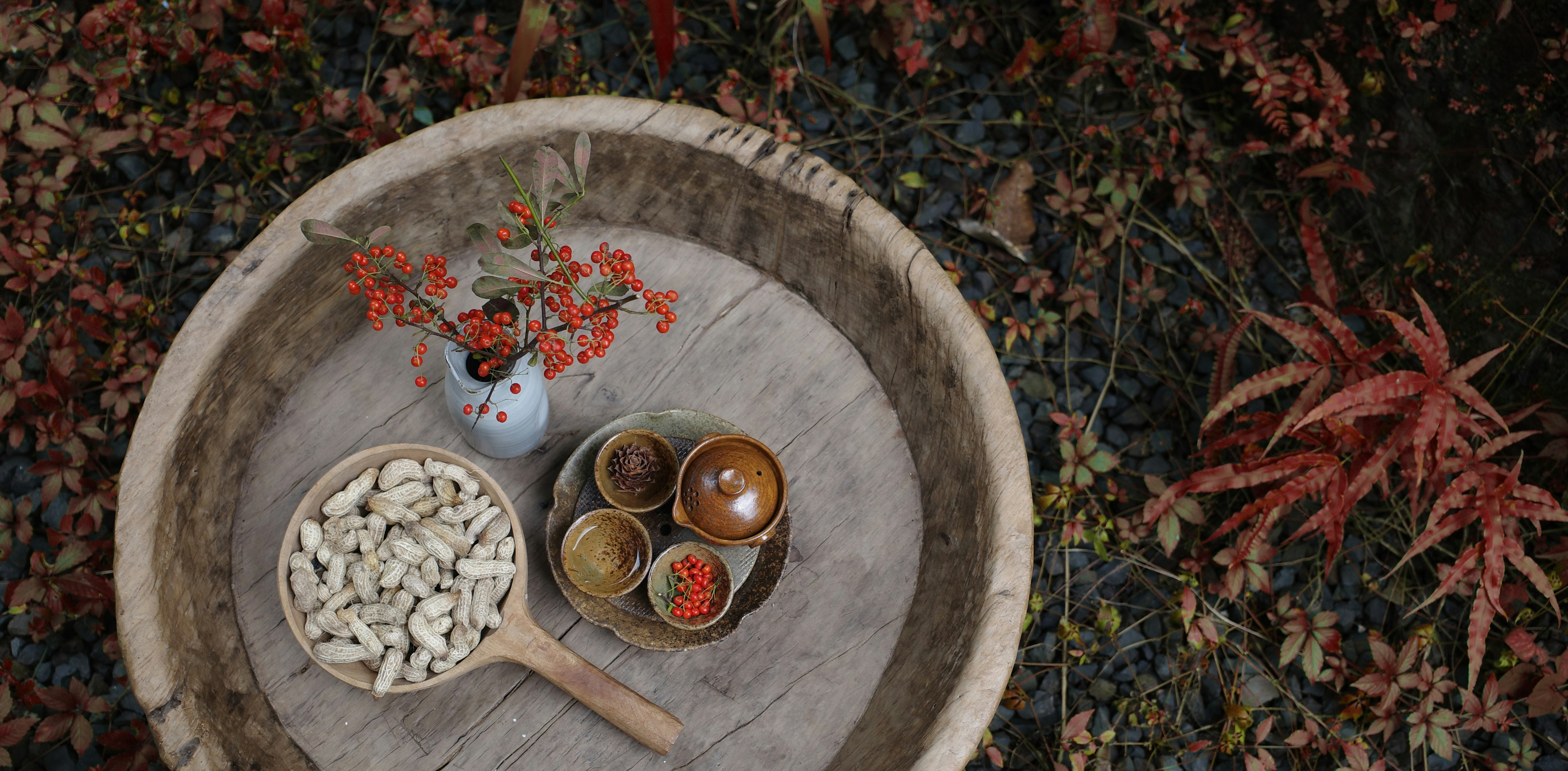 brown round fruit on gray concrete round bowl