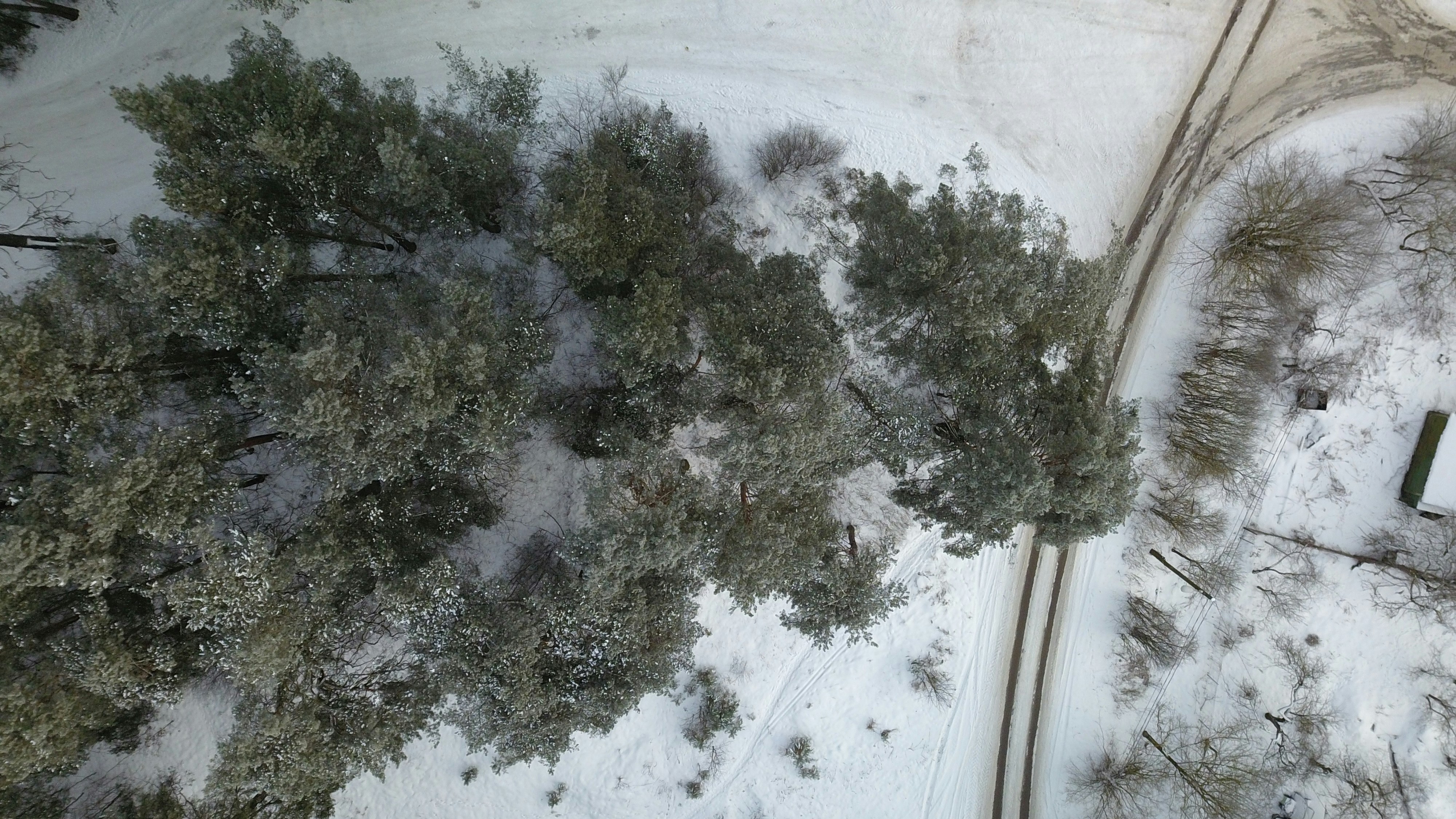 Green trees on snow covered ground during daytime photo – Free Snow ...