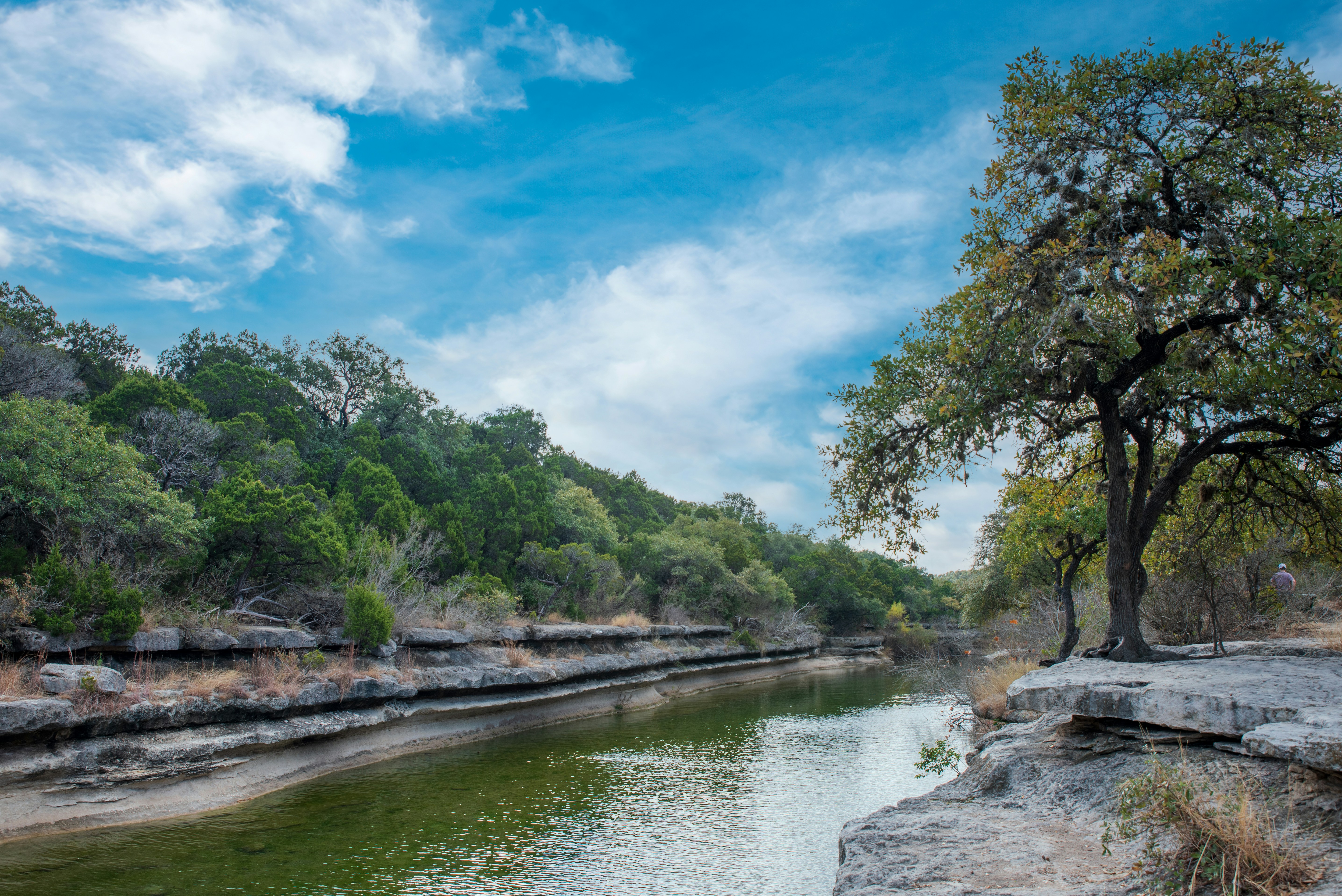 Green trees beside river under blue sky during daytime photo – Free ...