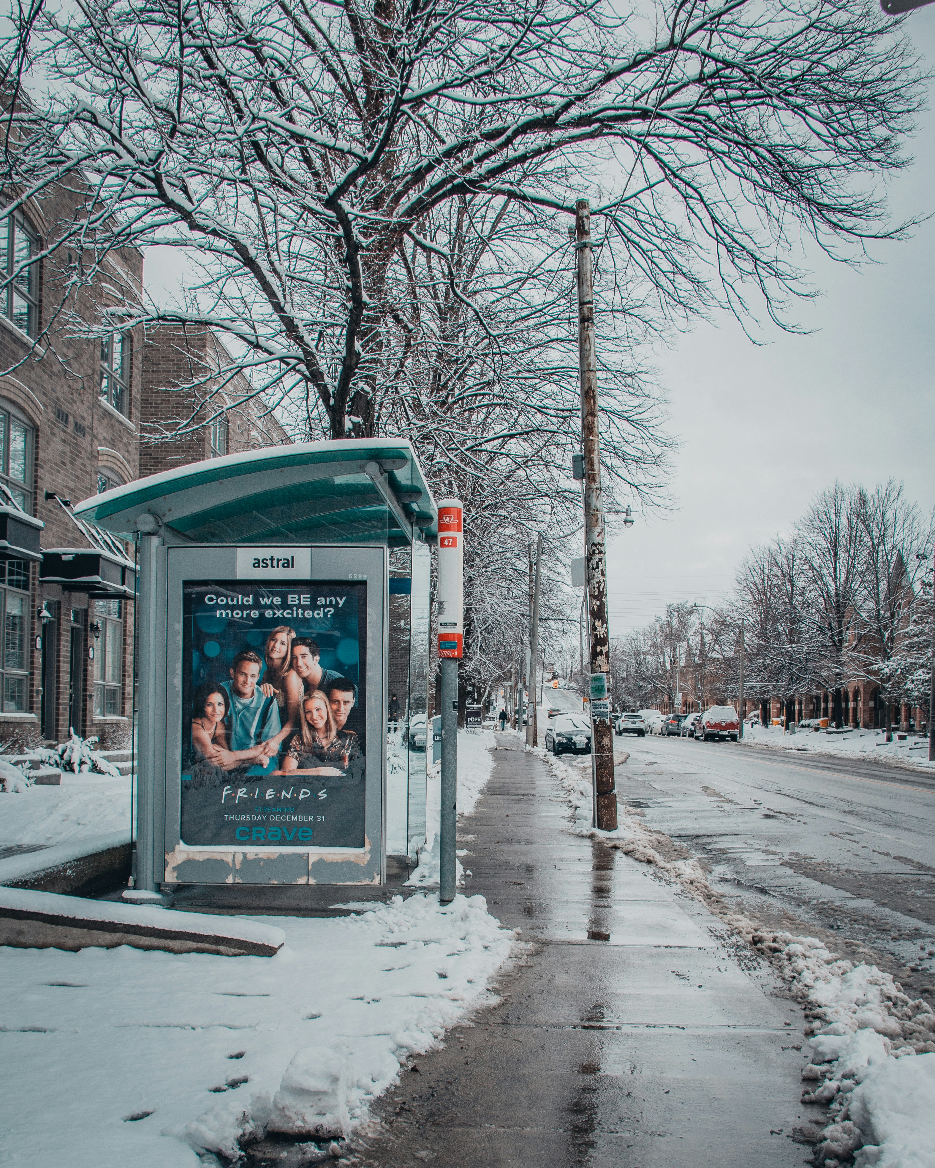 Snowy Streetfront with Aged Bus Stop Ad Amid Quiet Winter Traffic