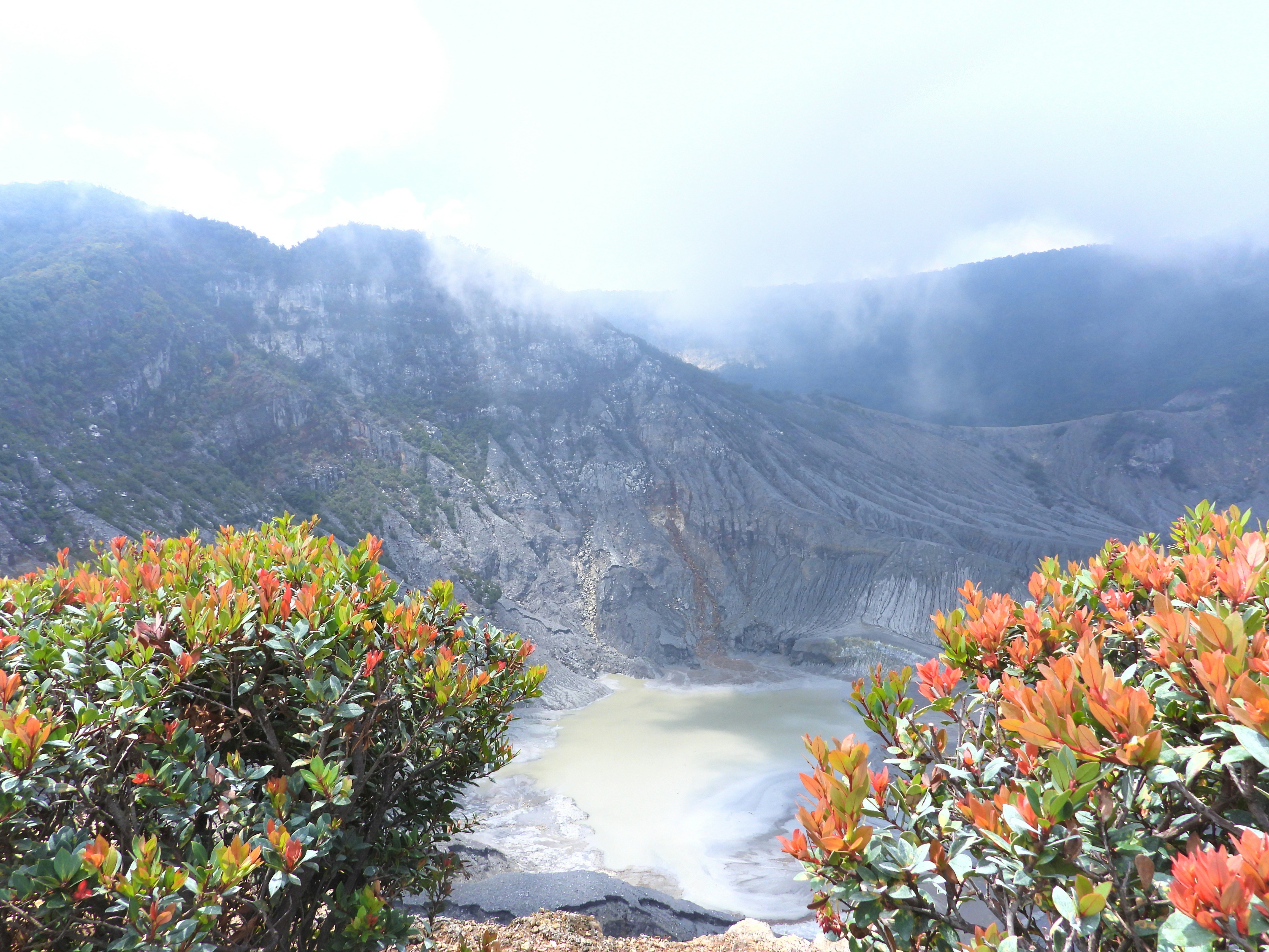 Vibrant flora frames a volcanic crater, revealing a still, mysterious lake at its center, shrouded in mist. The rugged terrain hints at the geological forces beneath.