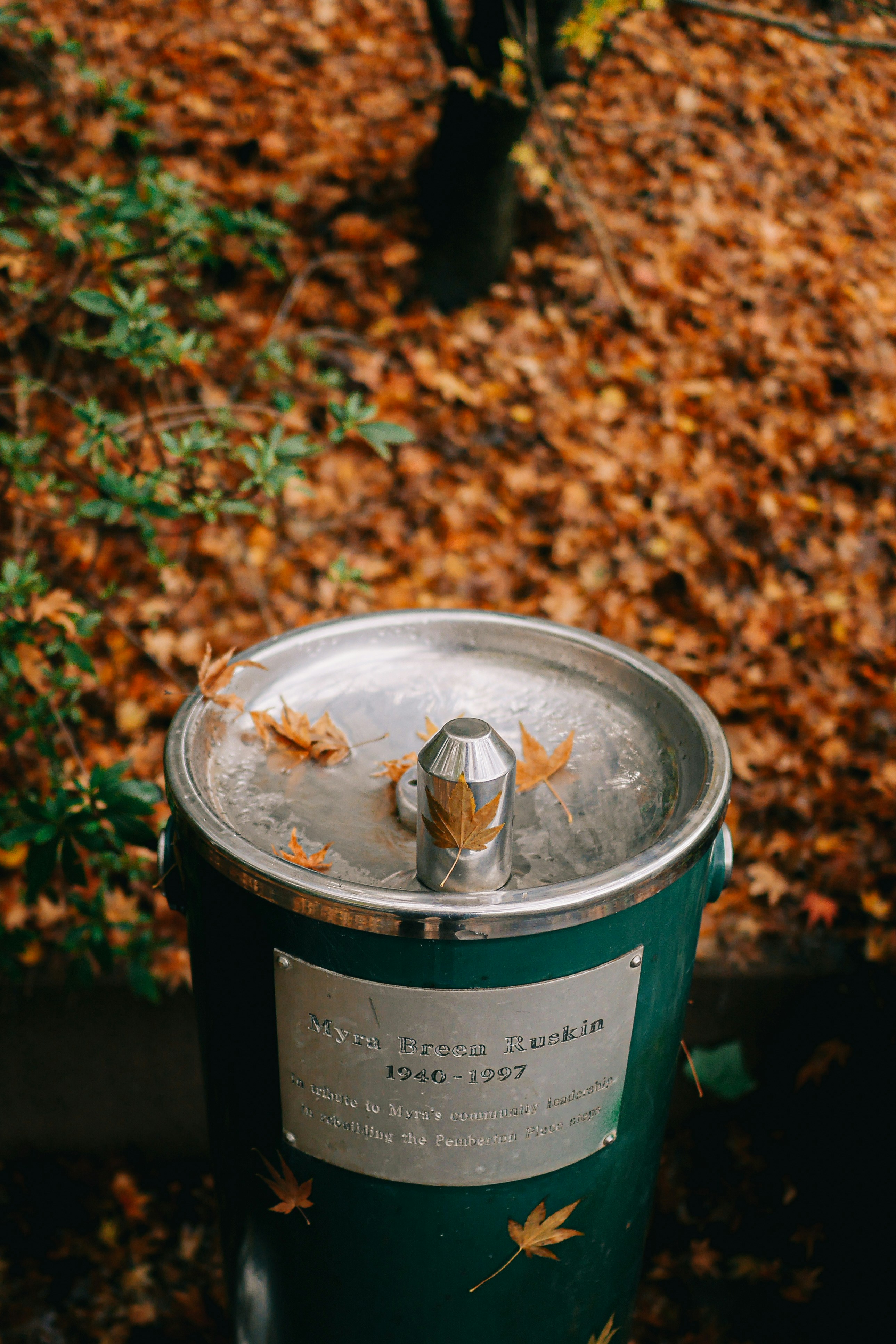 Autumn’s Quiet Sentinel: A Green Bin Amid Scarlet Leaves