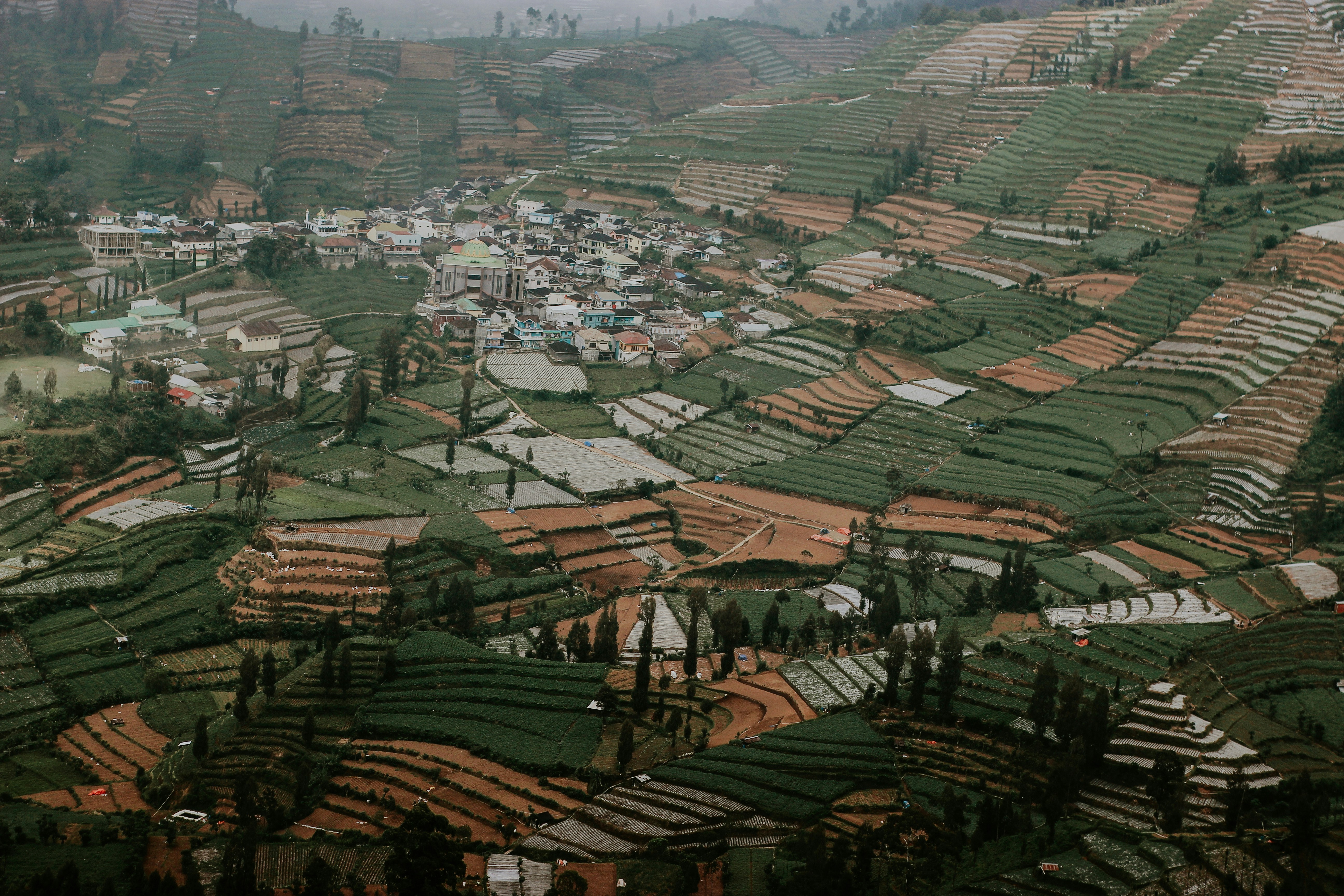 Emerald Staircases Embrace a Valley Village