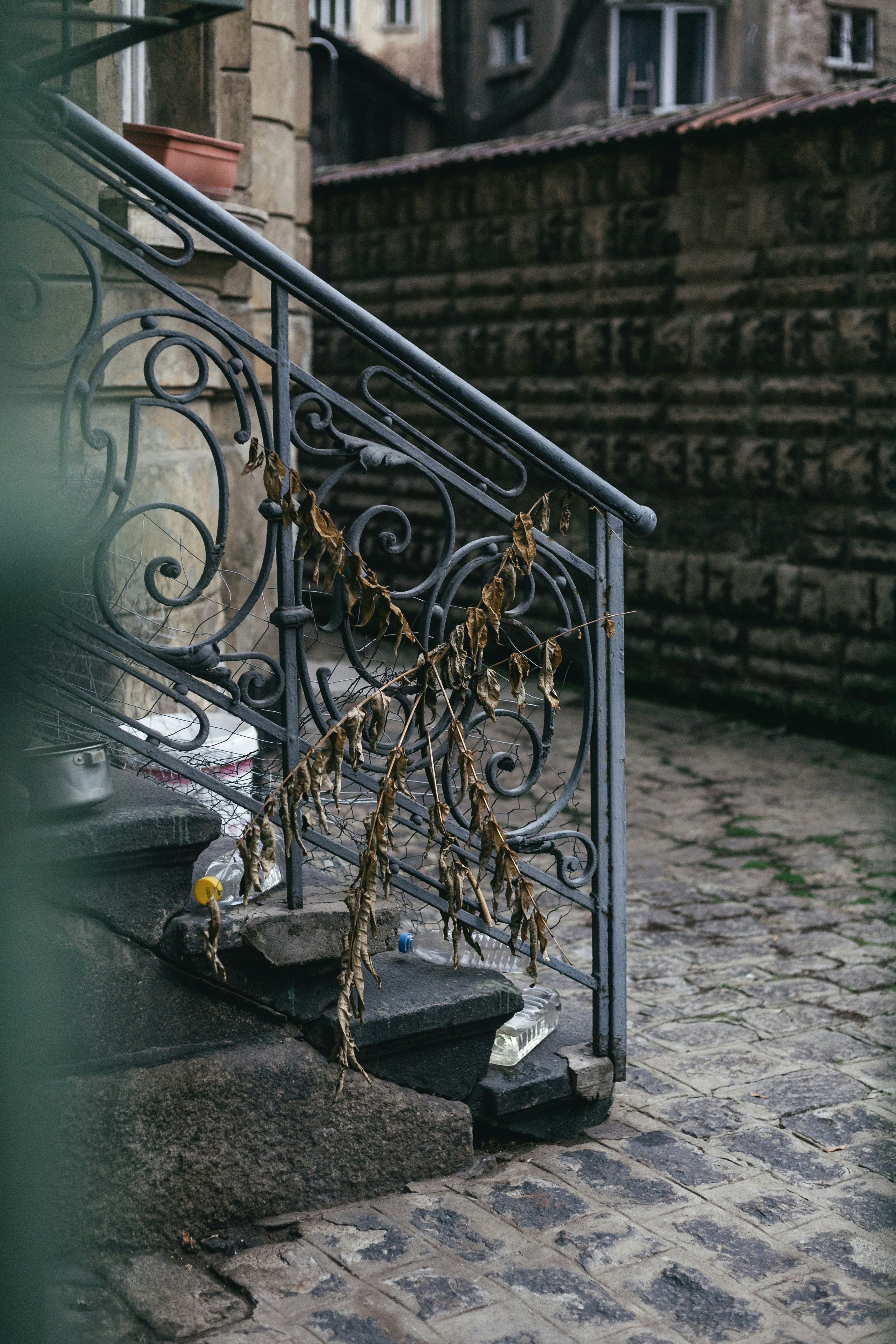 Dried leaves cling to an ornate metal railing beside a stone staircase in an urban setting, hinting at nature's resilience amidst man-made structures.