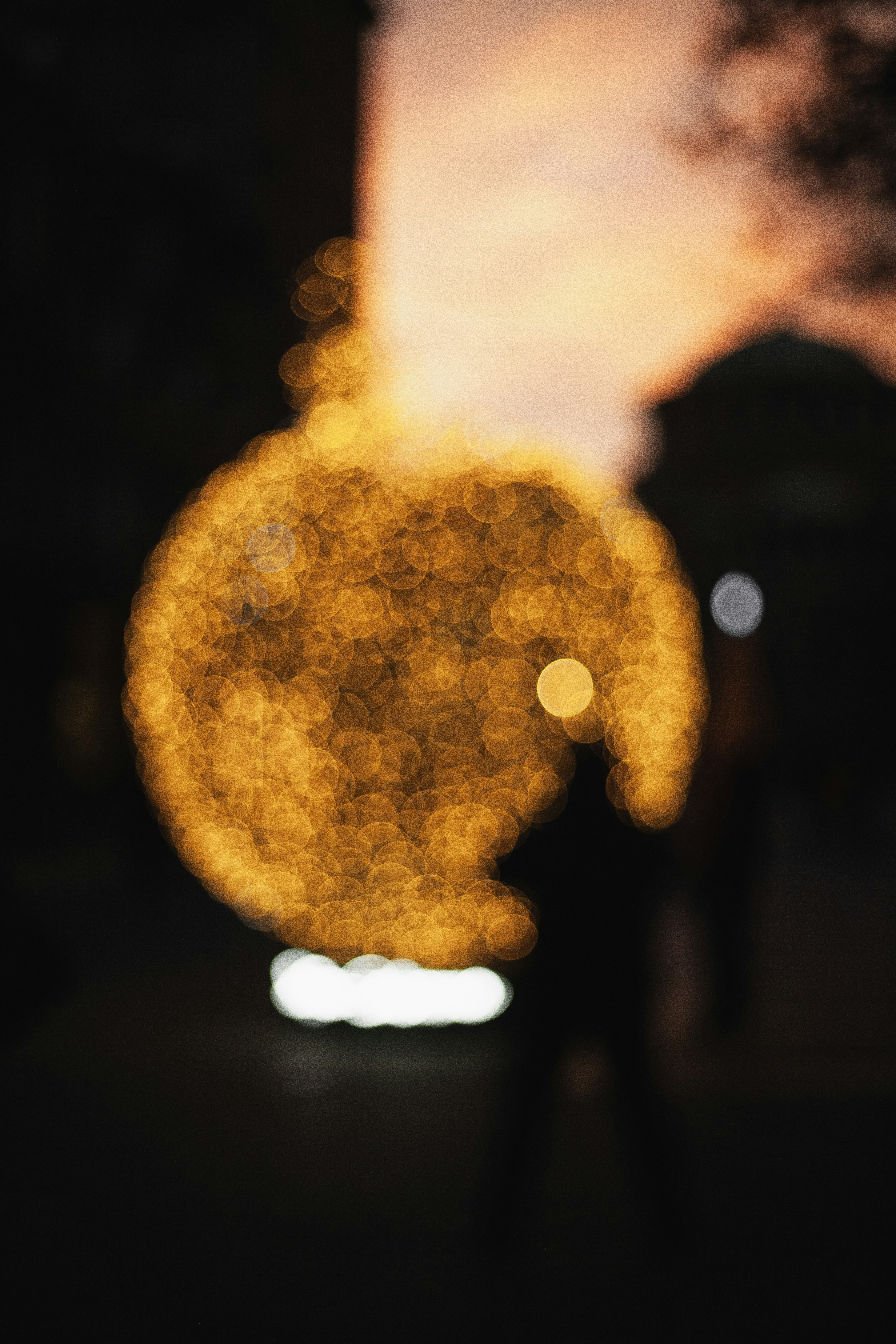 Golden Halo in the Night: City Glow with a Silhouette