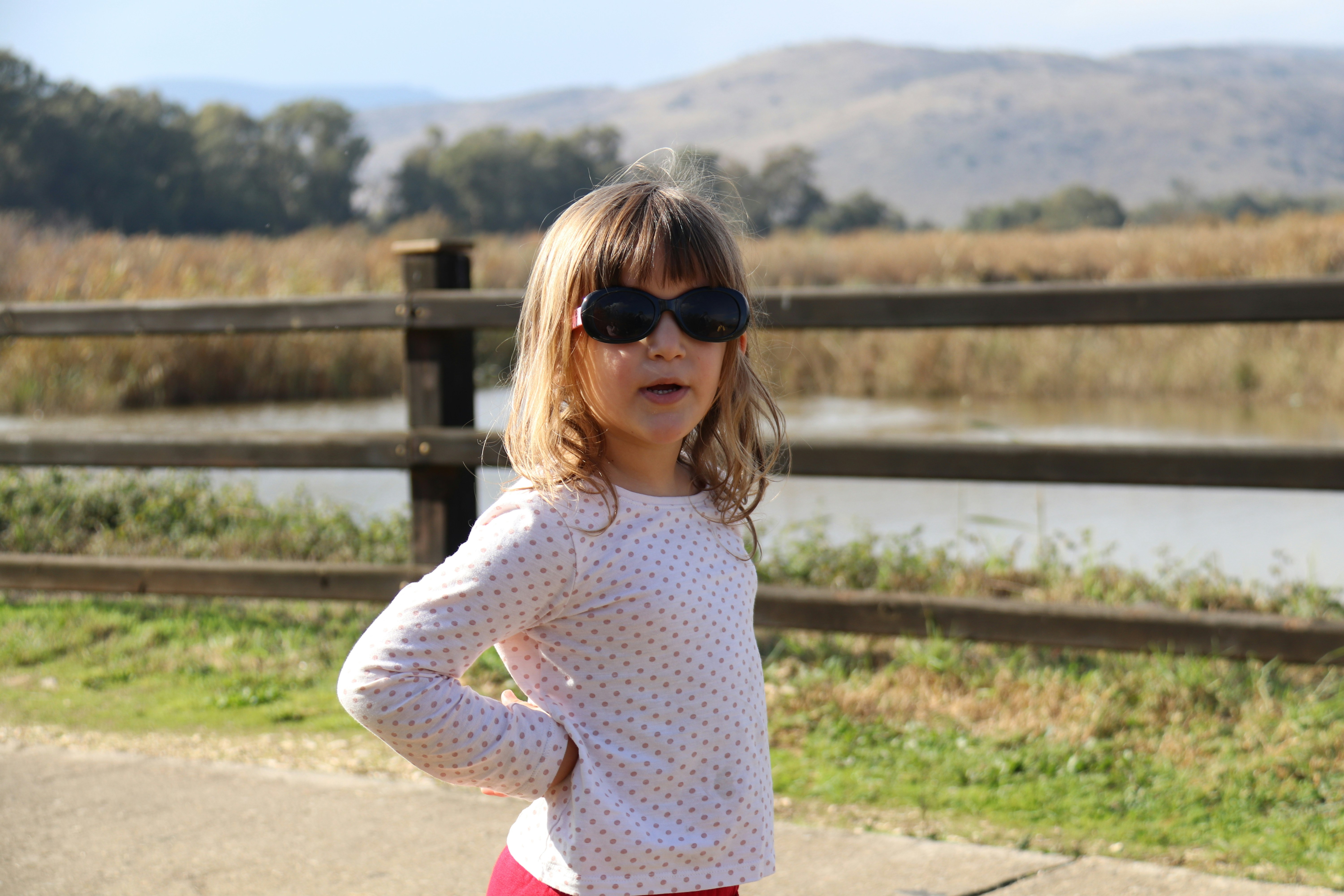 Girl in Sunglasses at the Fence Overlook