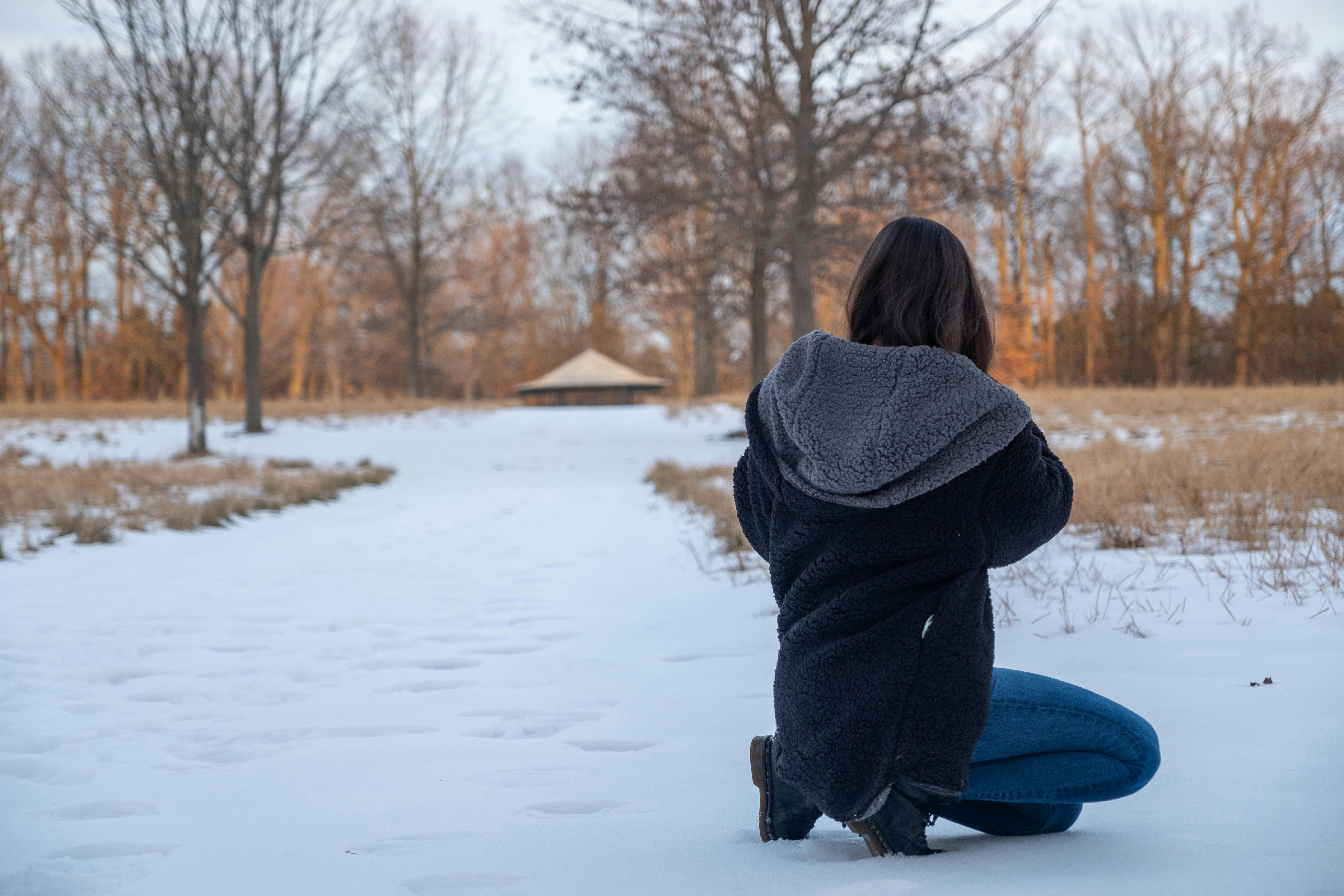 Snowbound Quietude: A Park Moment in Winter Light