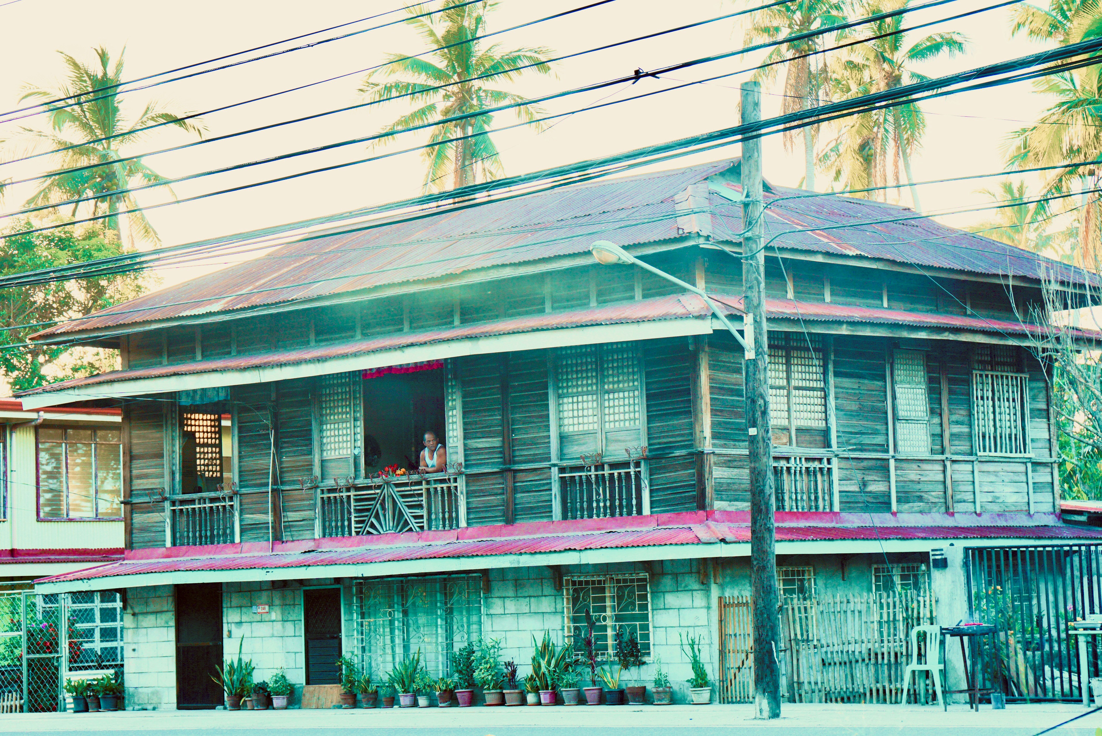 Traditional wooden house with a man gazing from the upper balcony, surrounded by lush palm trees.