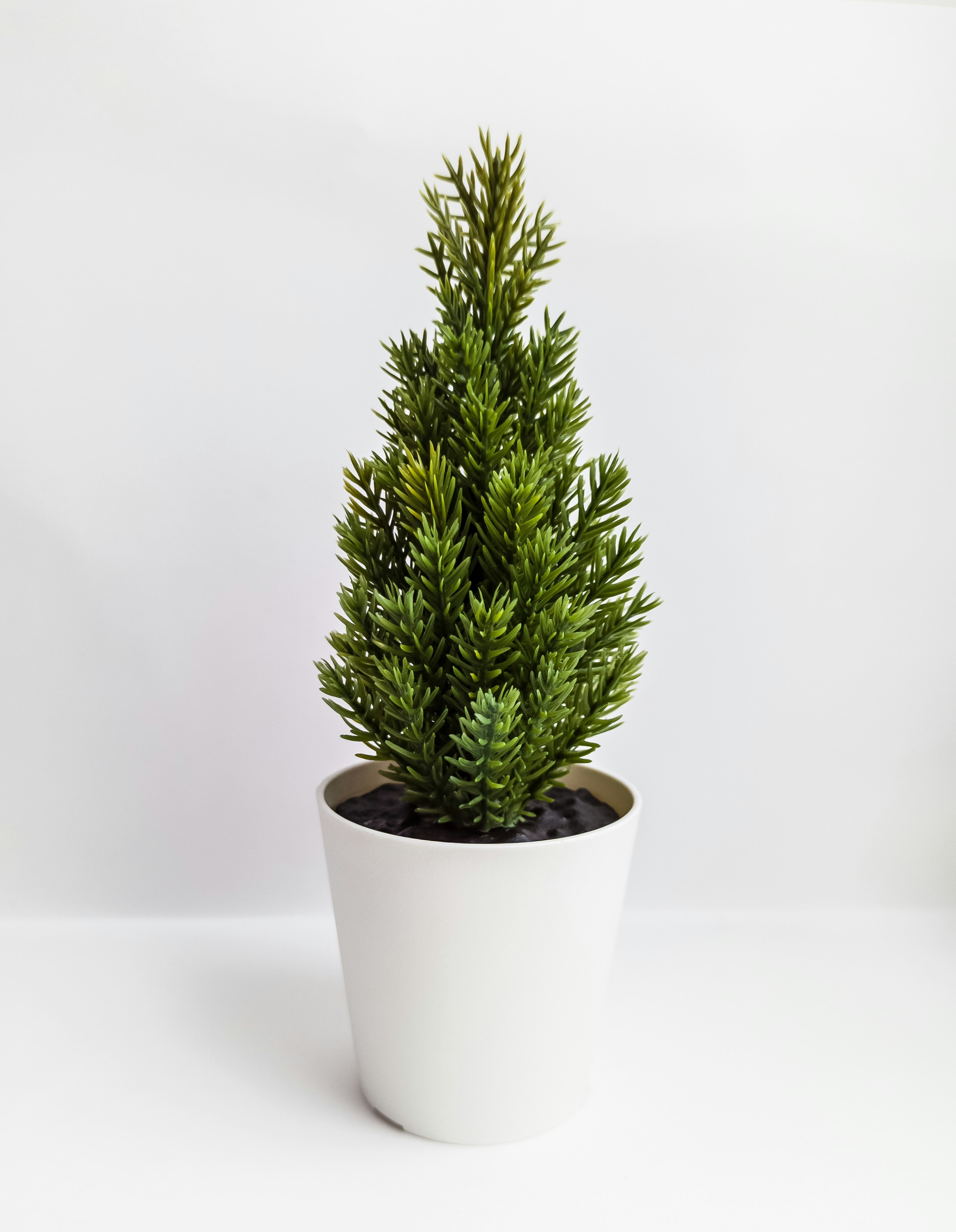 Artificial evergreen plant in a simple white pot, set against a neutral backdrop.