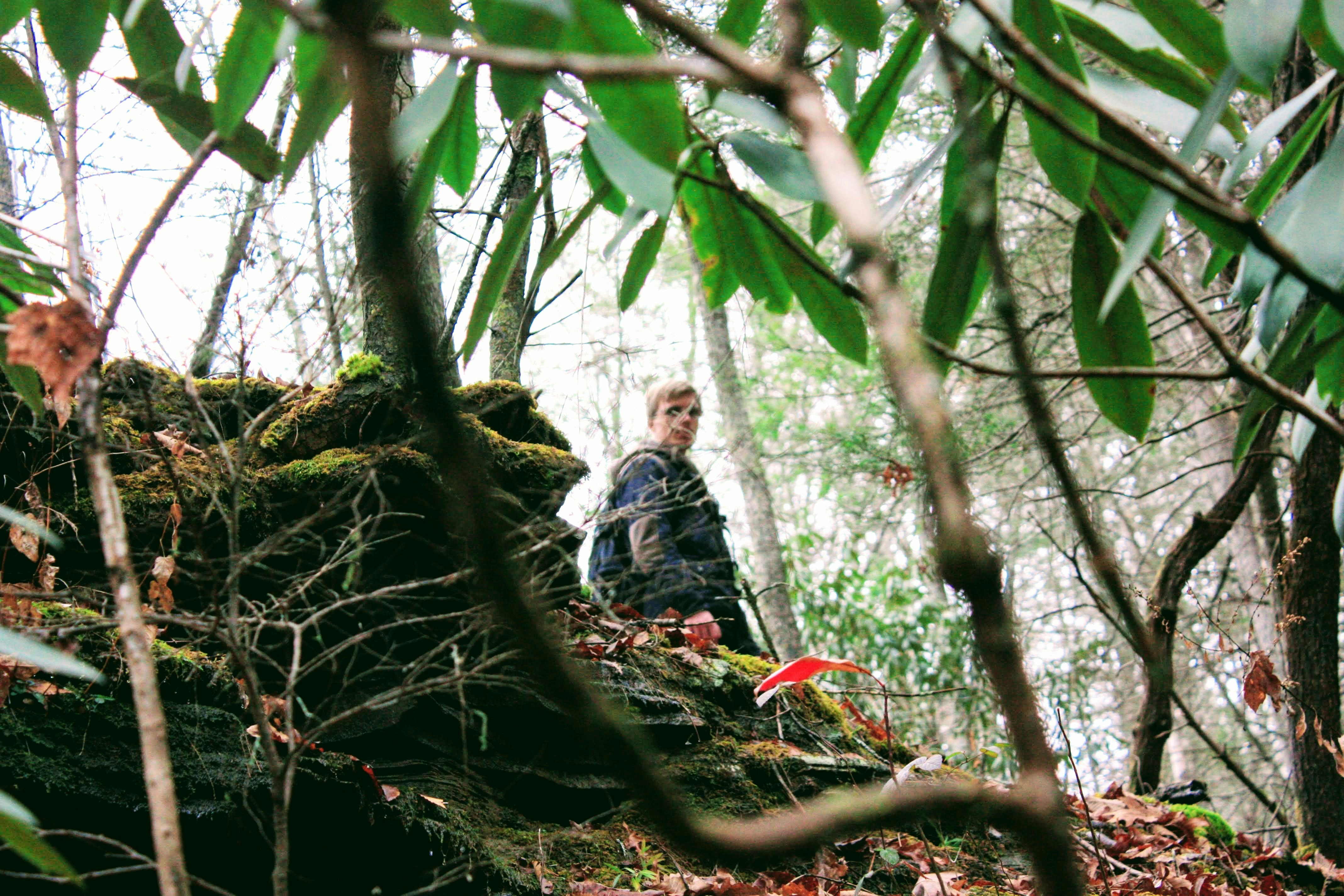 A figure emerges from the lush greenery, partially obscured by foliage, creating an air of mystery in a serene forest setting.