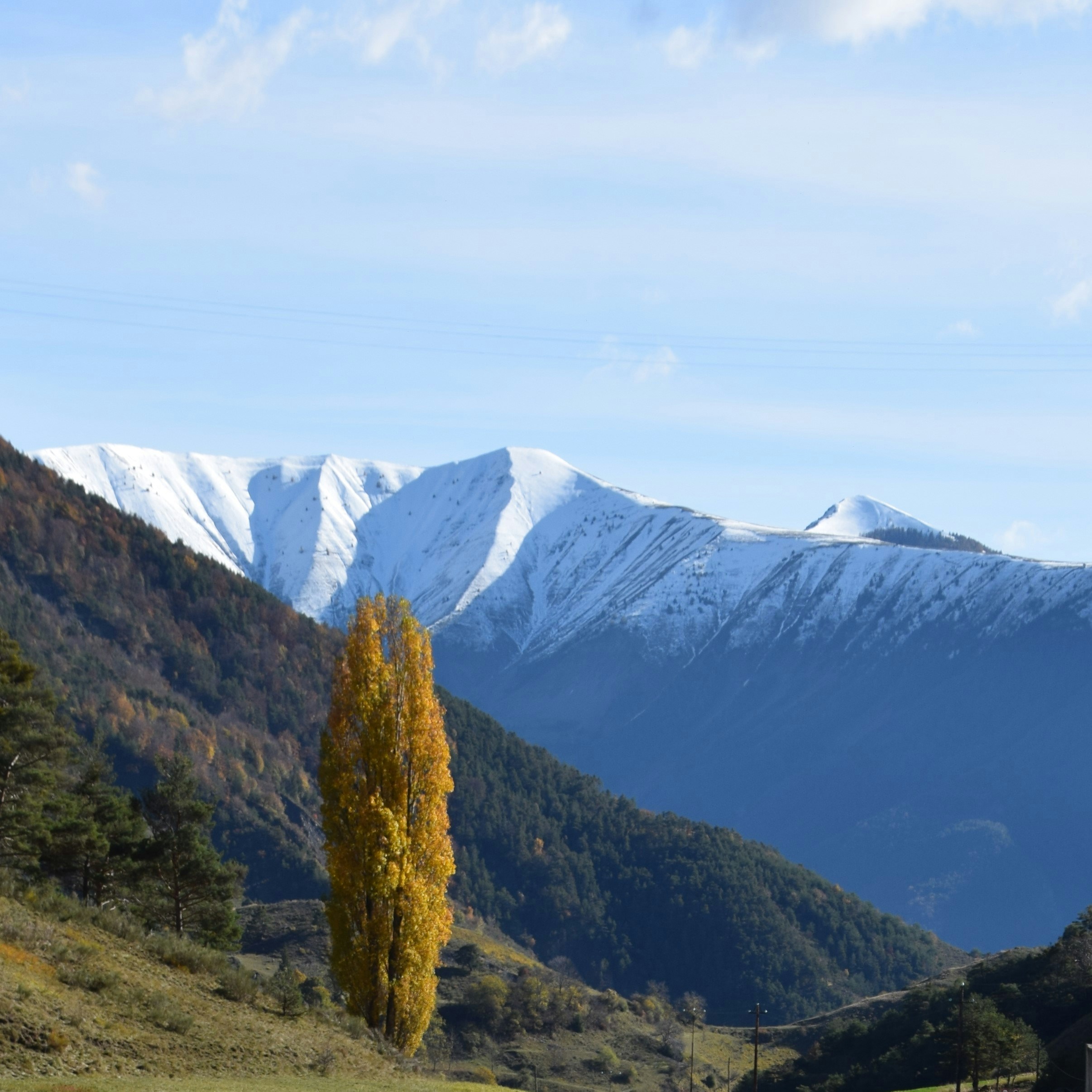 Golden Sentinel Among Snow-Dusted Peaks