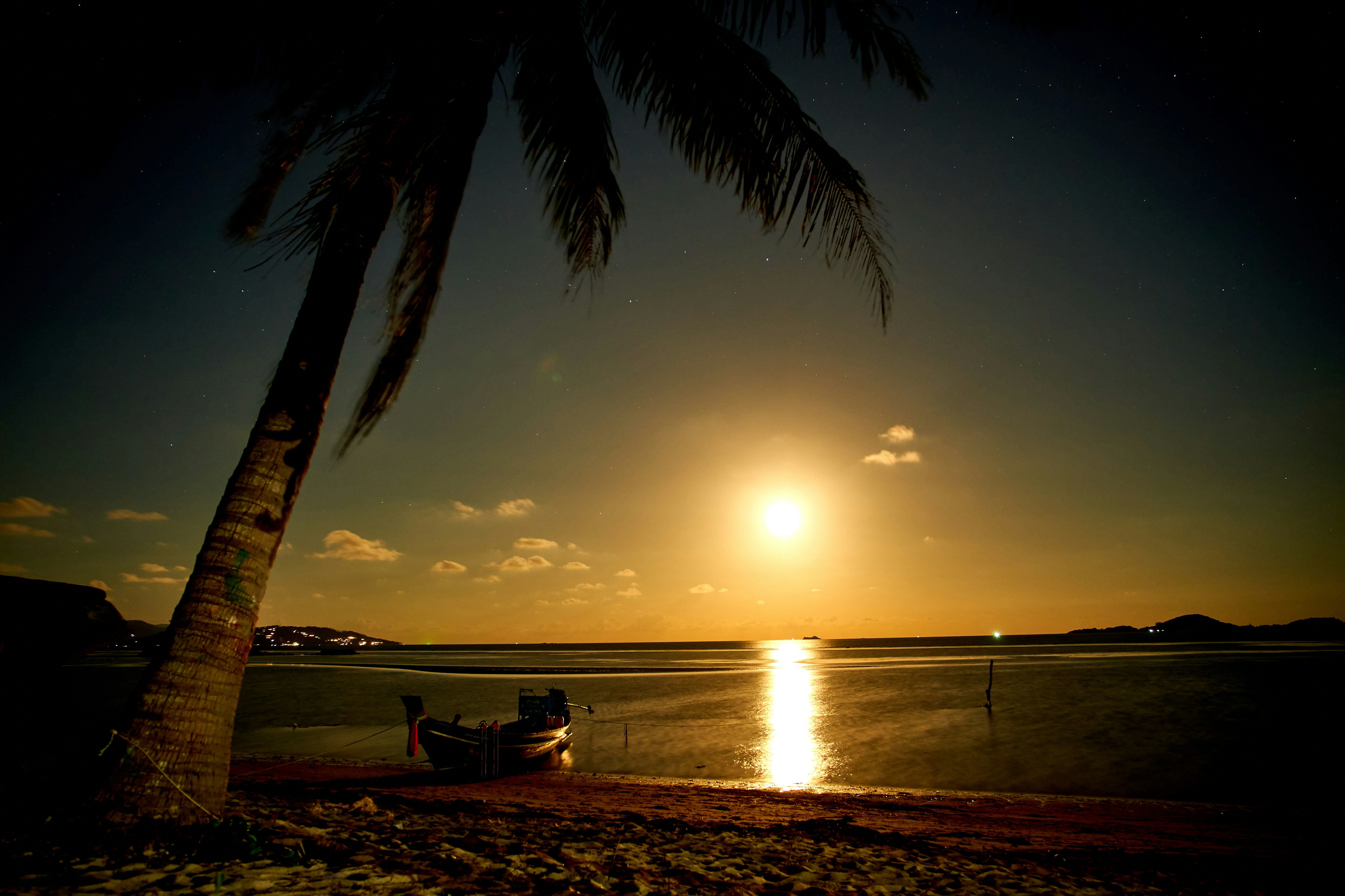 Silhouette of palm tree near body of water during sunset photo – Free ...