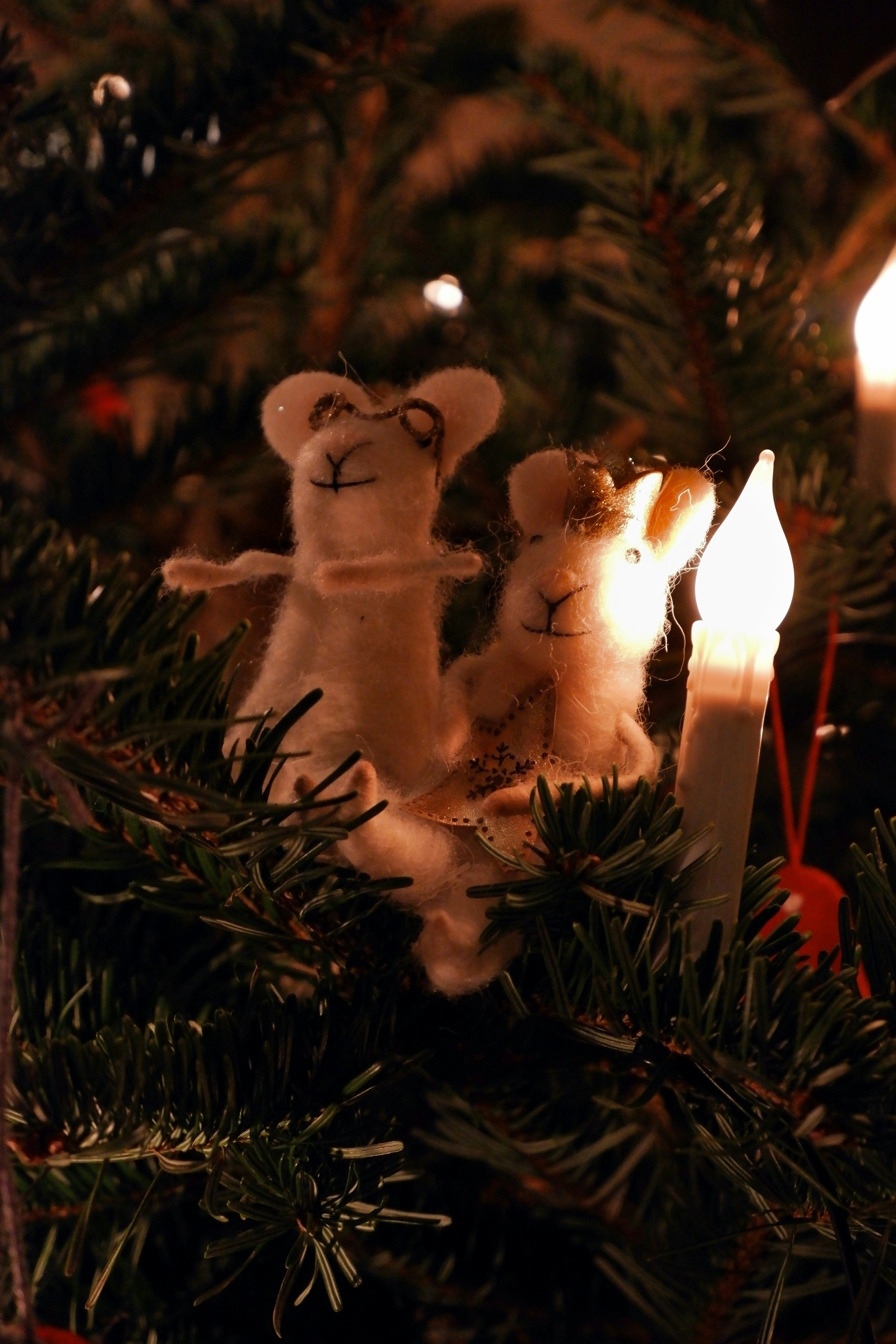 Merry Christmas!