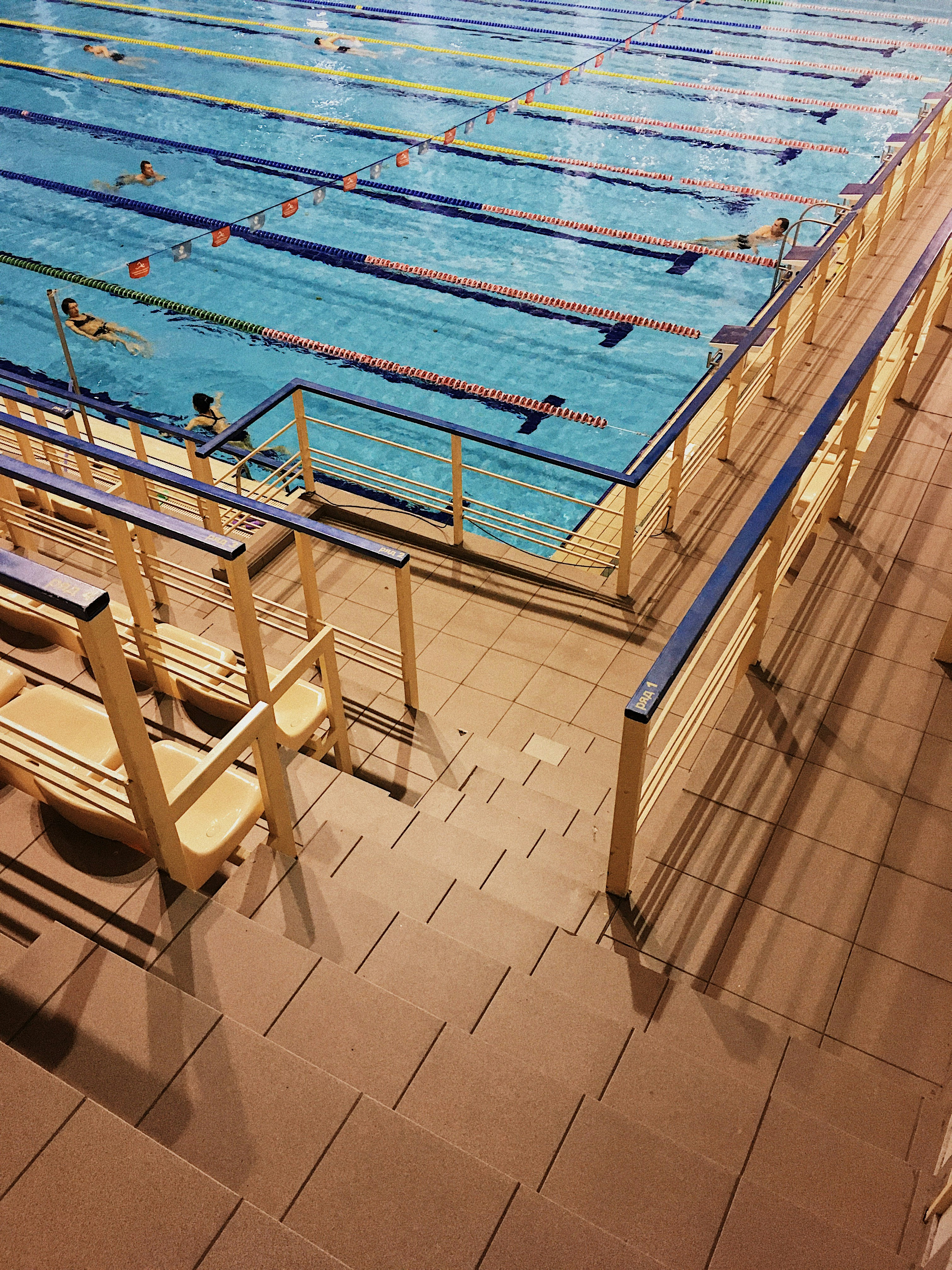 Empty bleachers lead down to a vibrant swimming pool, where lanes are marked for competitive swimmers. The scene captures the essence of aquatic sports preparation.