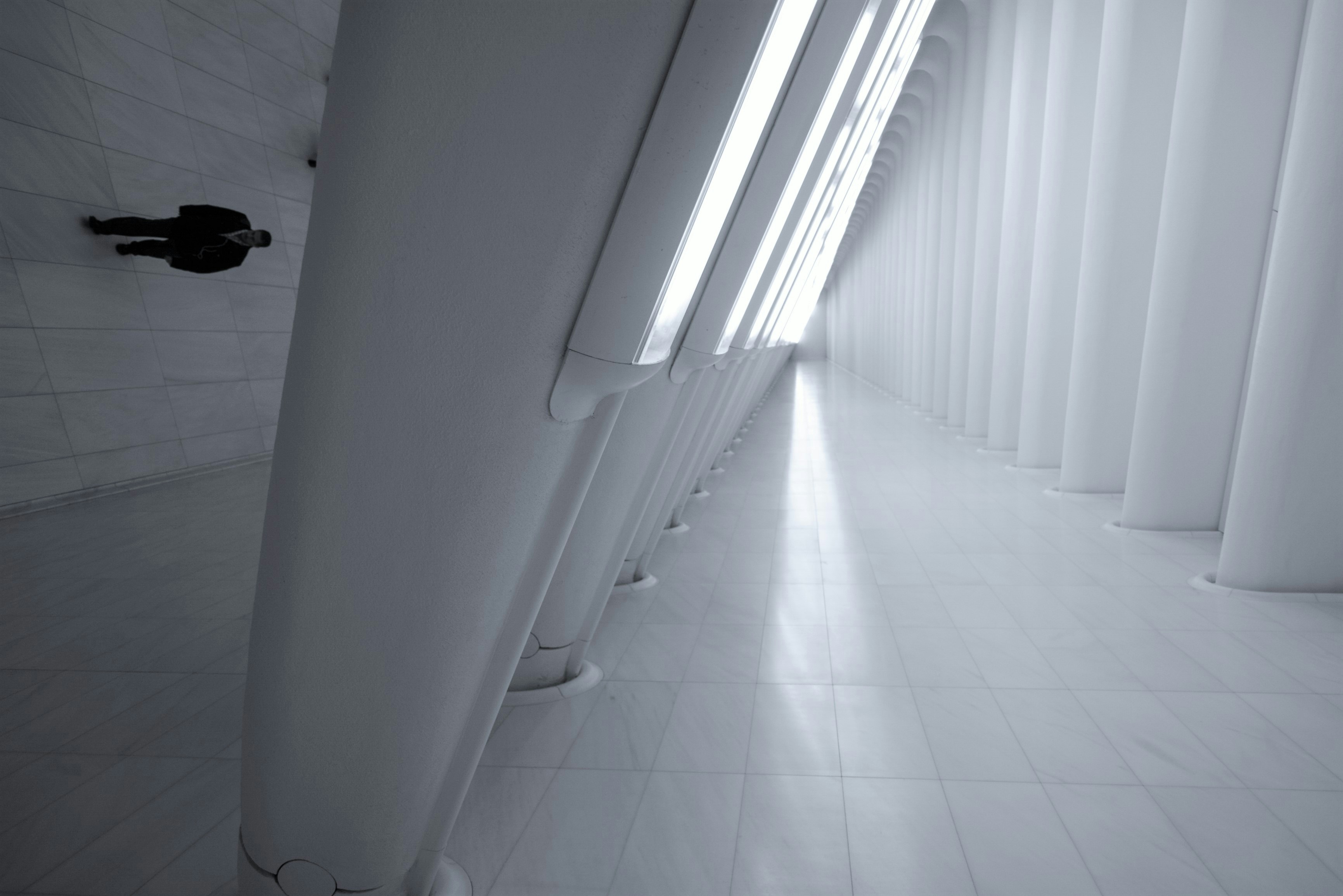 A minimalist interior showcasing sleek white columns and dramatic lighting, emphasizing the interplay of space and form.