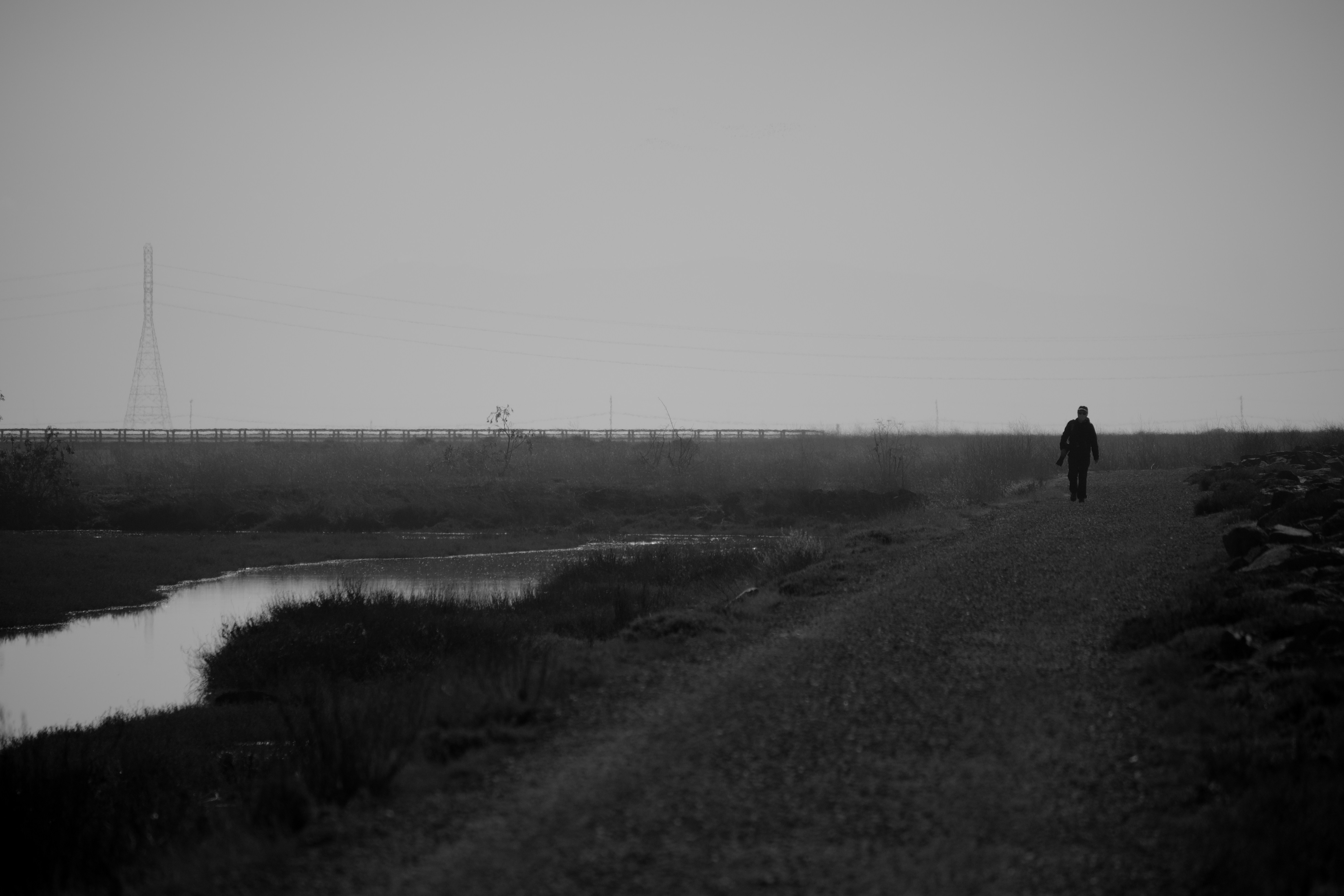 Person walking on gray pathway photo – Free Grey Image on Unsplash