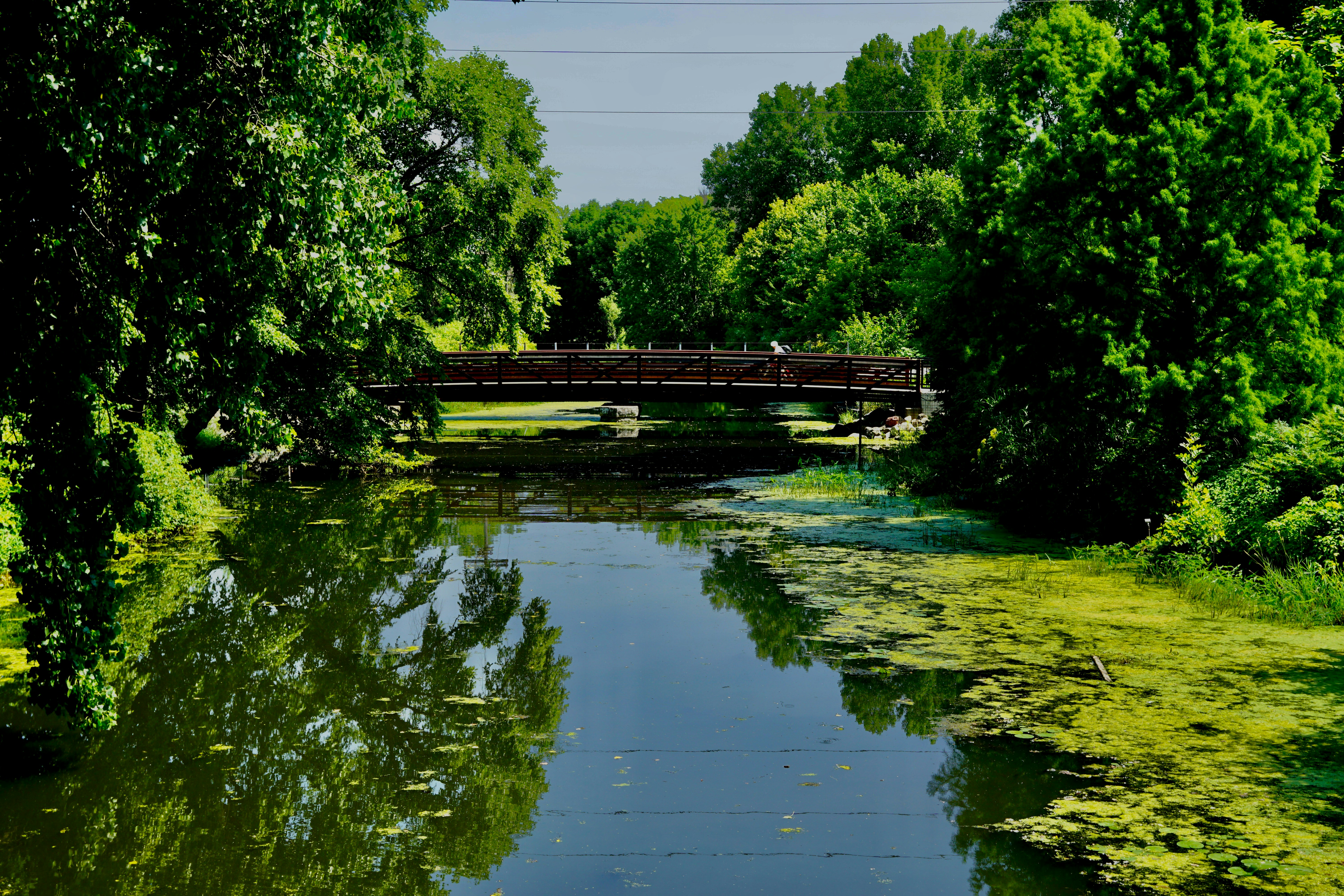 Wooden bridge arching over a tranquil pond, surrounded by lush greenery and reflections on the water's surface.