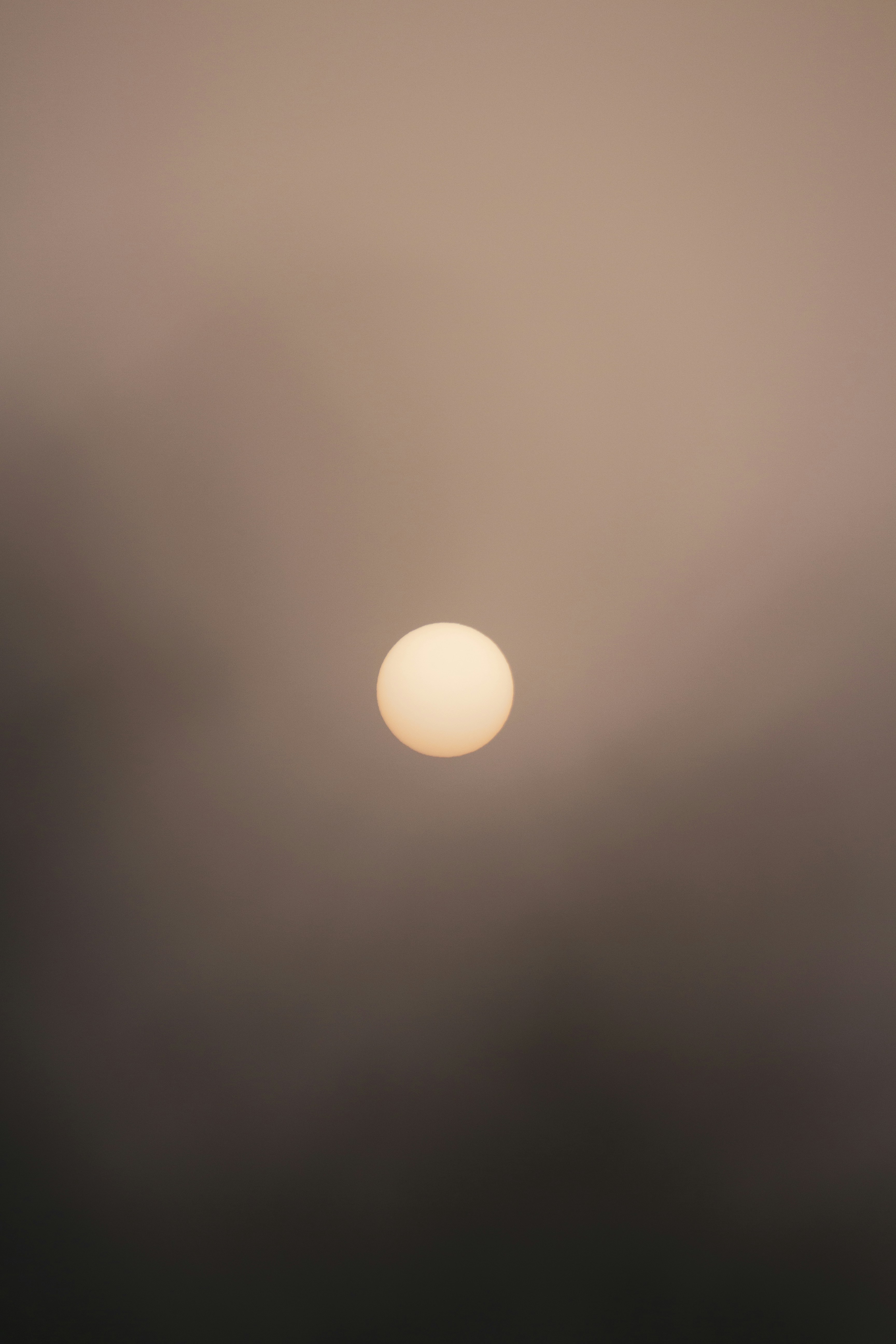 Sun In Space Pictures | Download Free Images on Unsplash