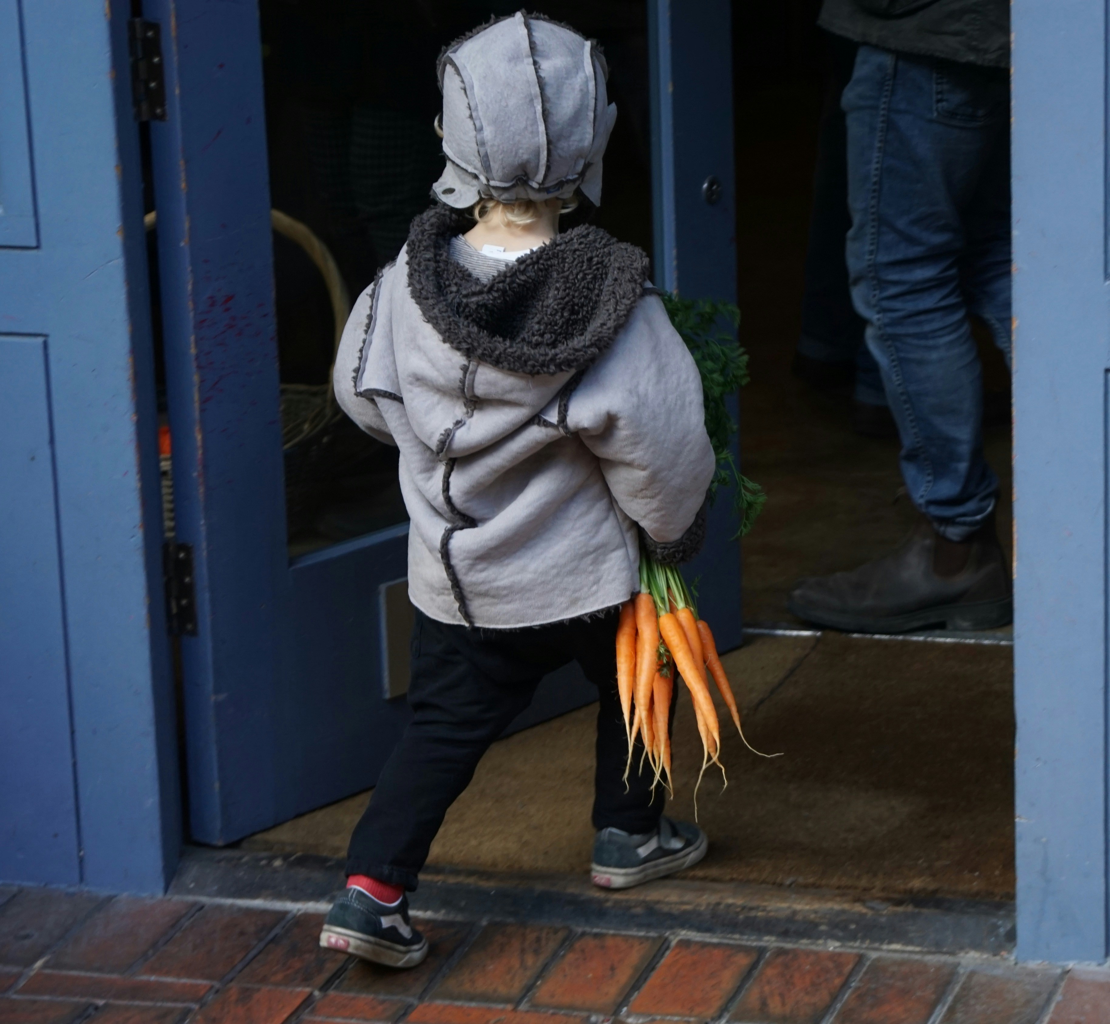 Young boy in a blue-grey jacket and flapped cap carrrying a bright orange bunch of fresh carrots. From behind.