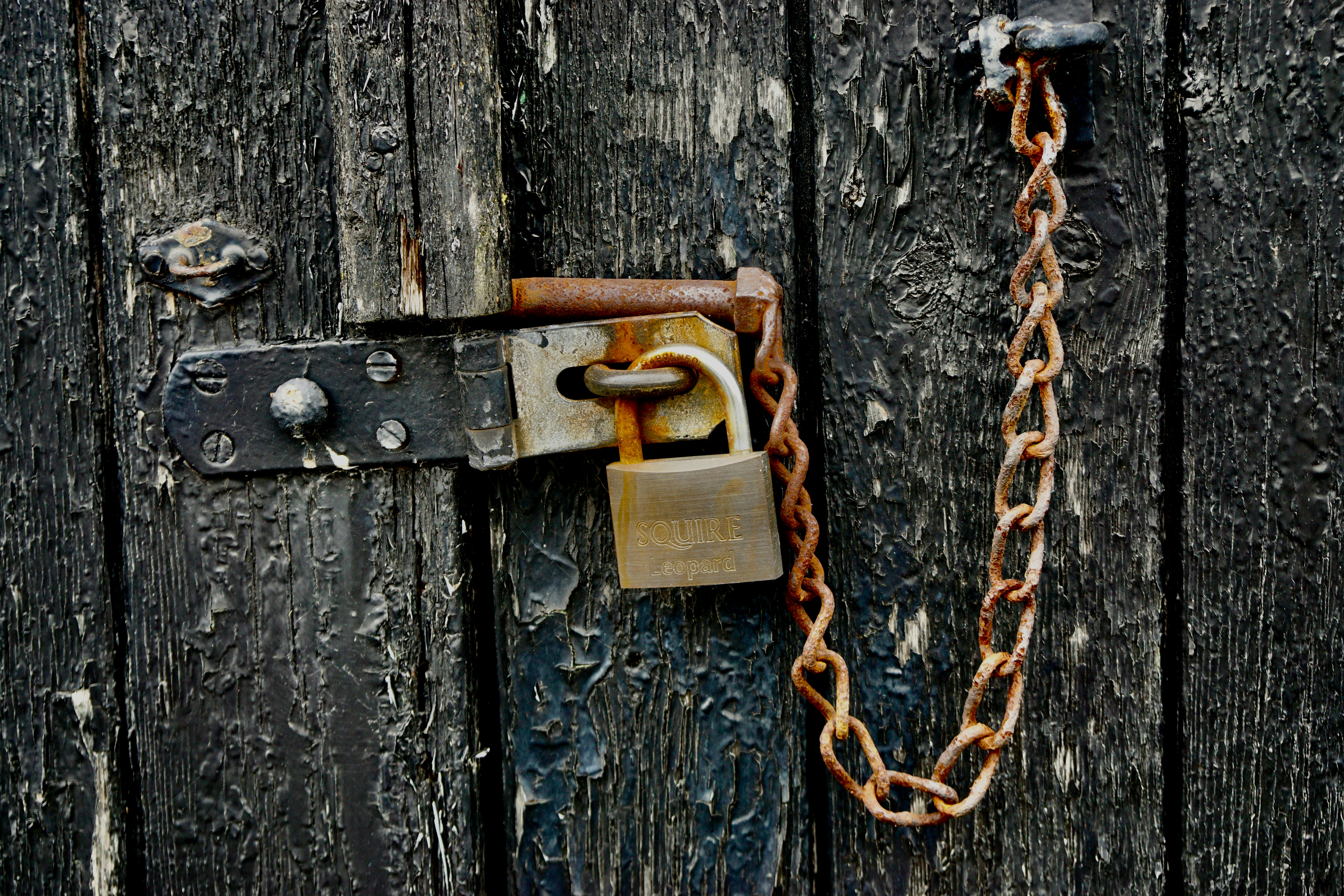 50,000+ Locked Door Pictures | Download Free Images on Unsplash