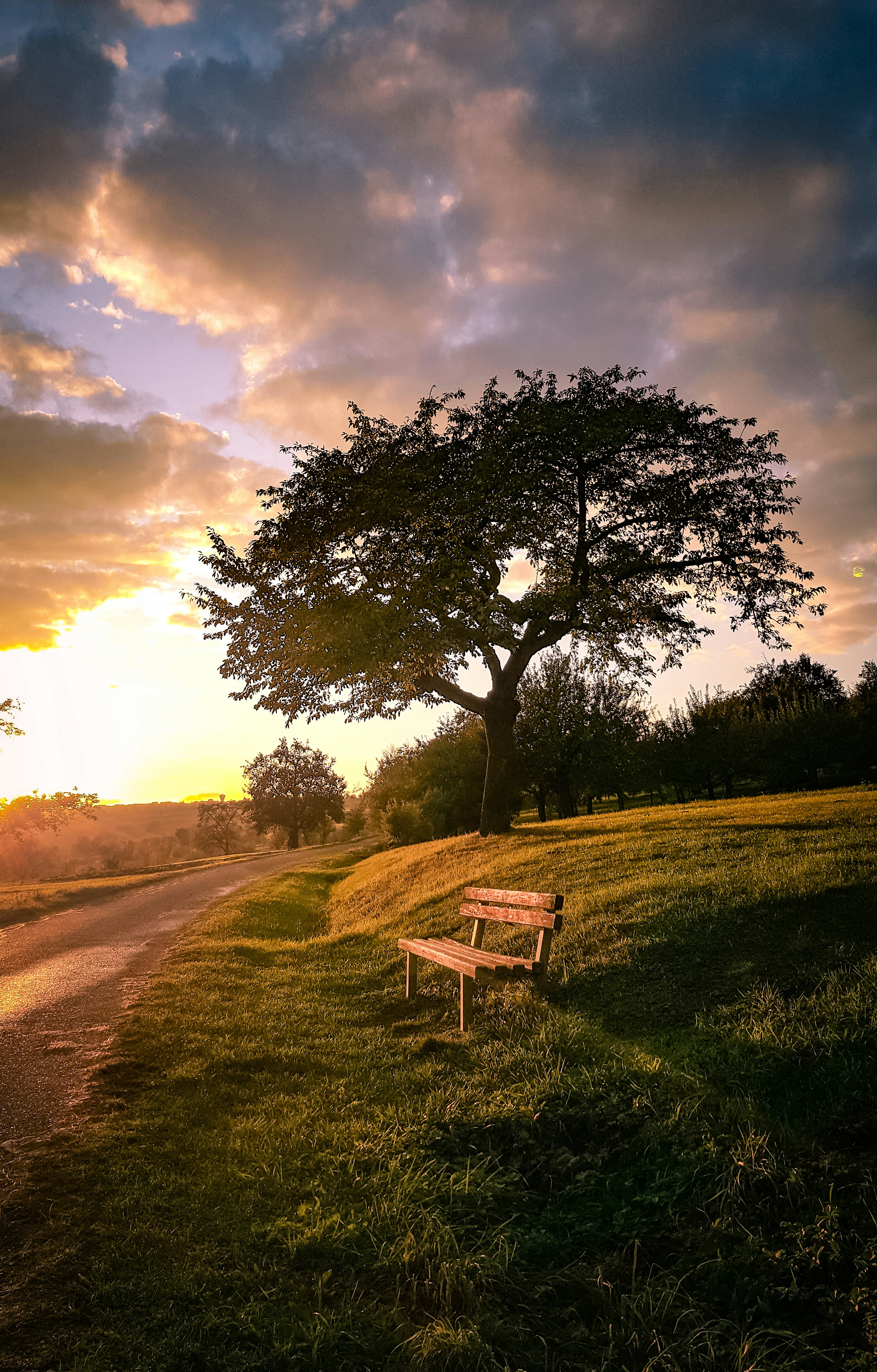 white wooden bench on green grass field during daytime