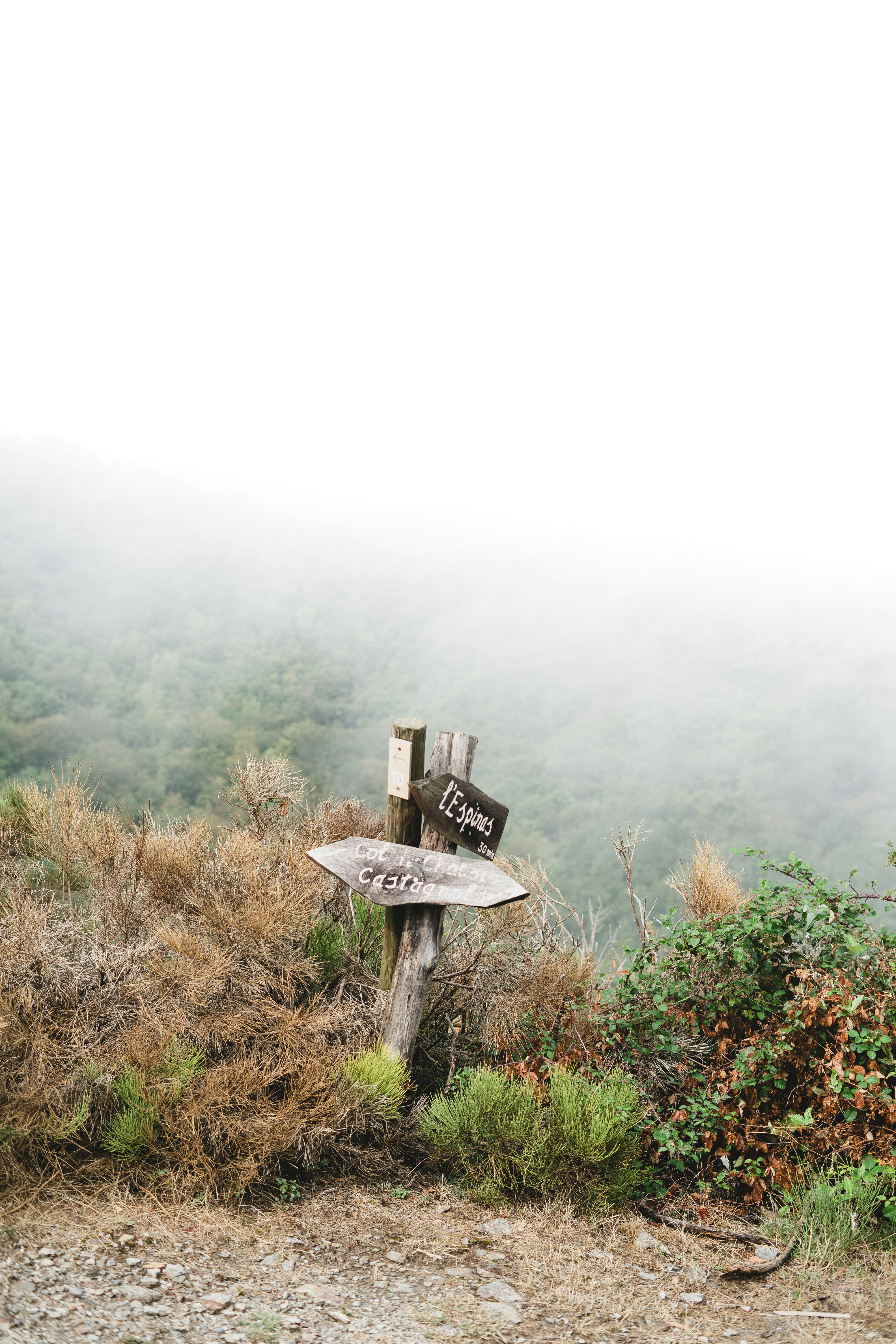 Wooden signpost directing hikers towards various trails in a foggy landscape. The surrounding greenery adds a touch of nature's tranquility.