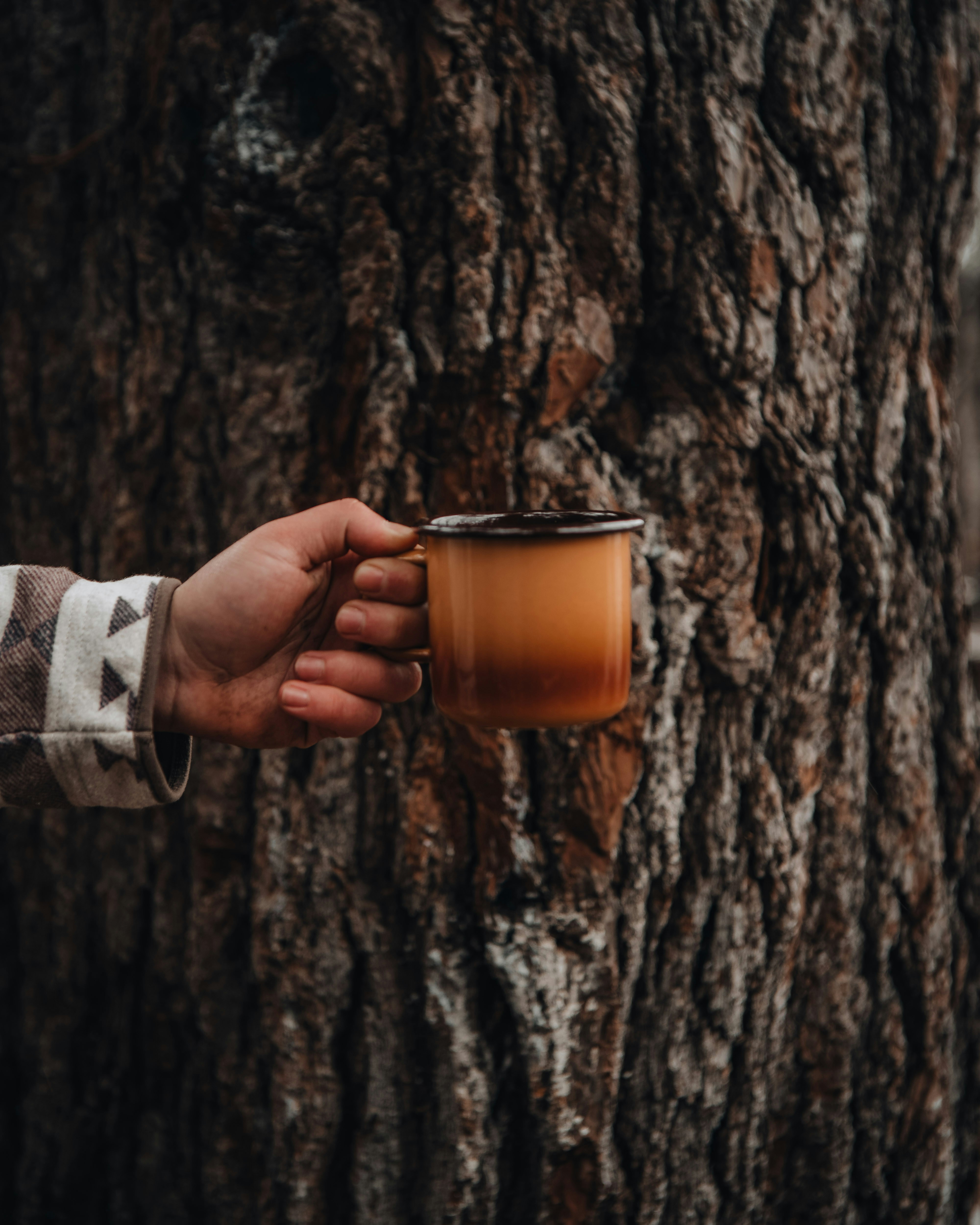 Hand holding a warm beverage against the textured bark of a tree, showcasing a cozy outdoor experience.