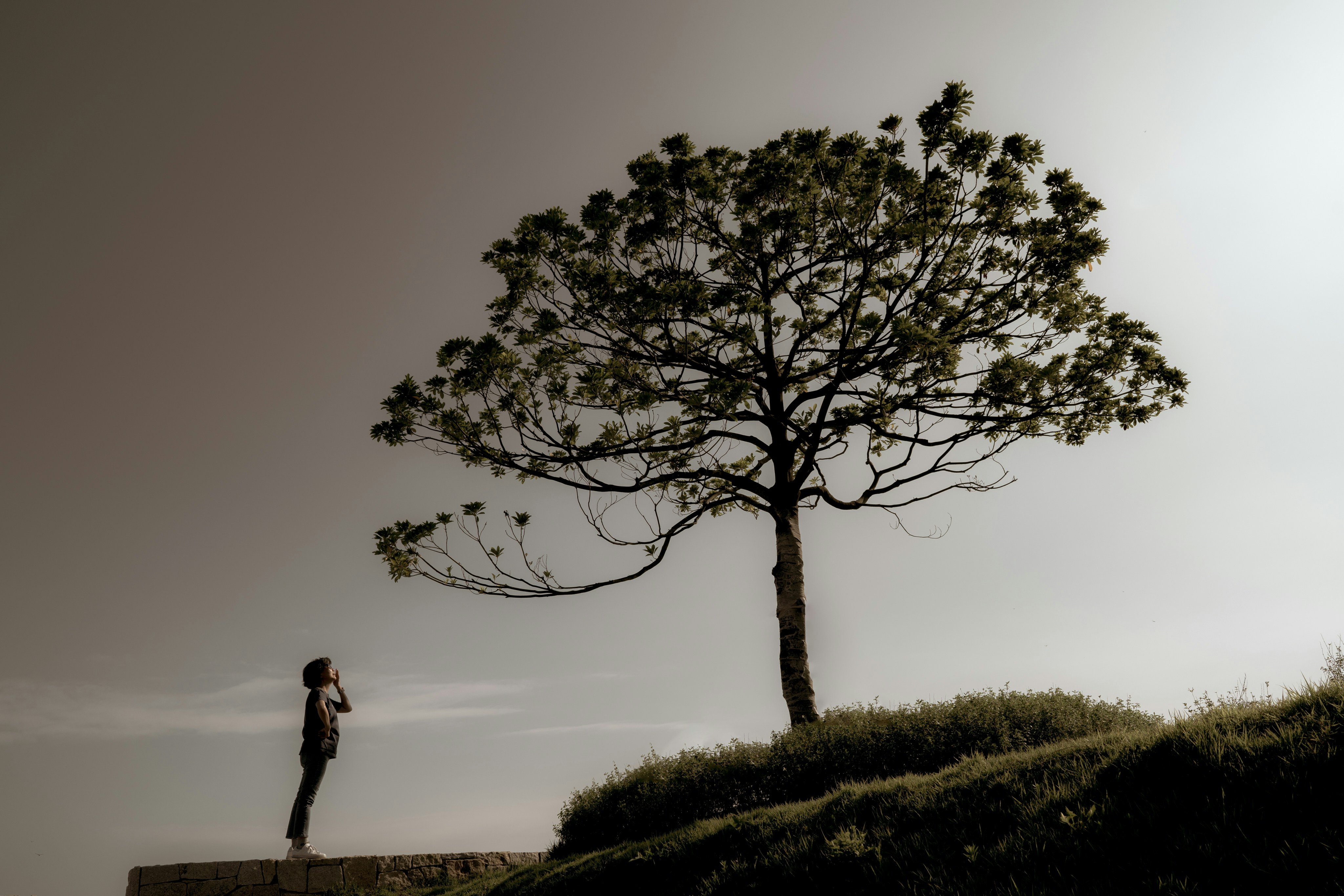 Man standing near tree during daytime photo – Free Tree Image on Unsplash