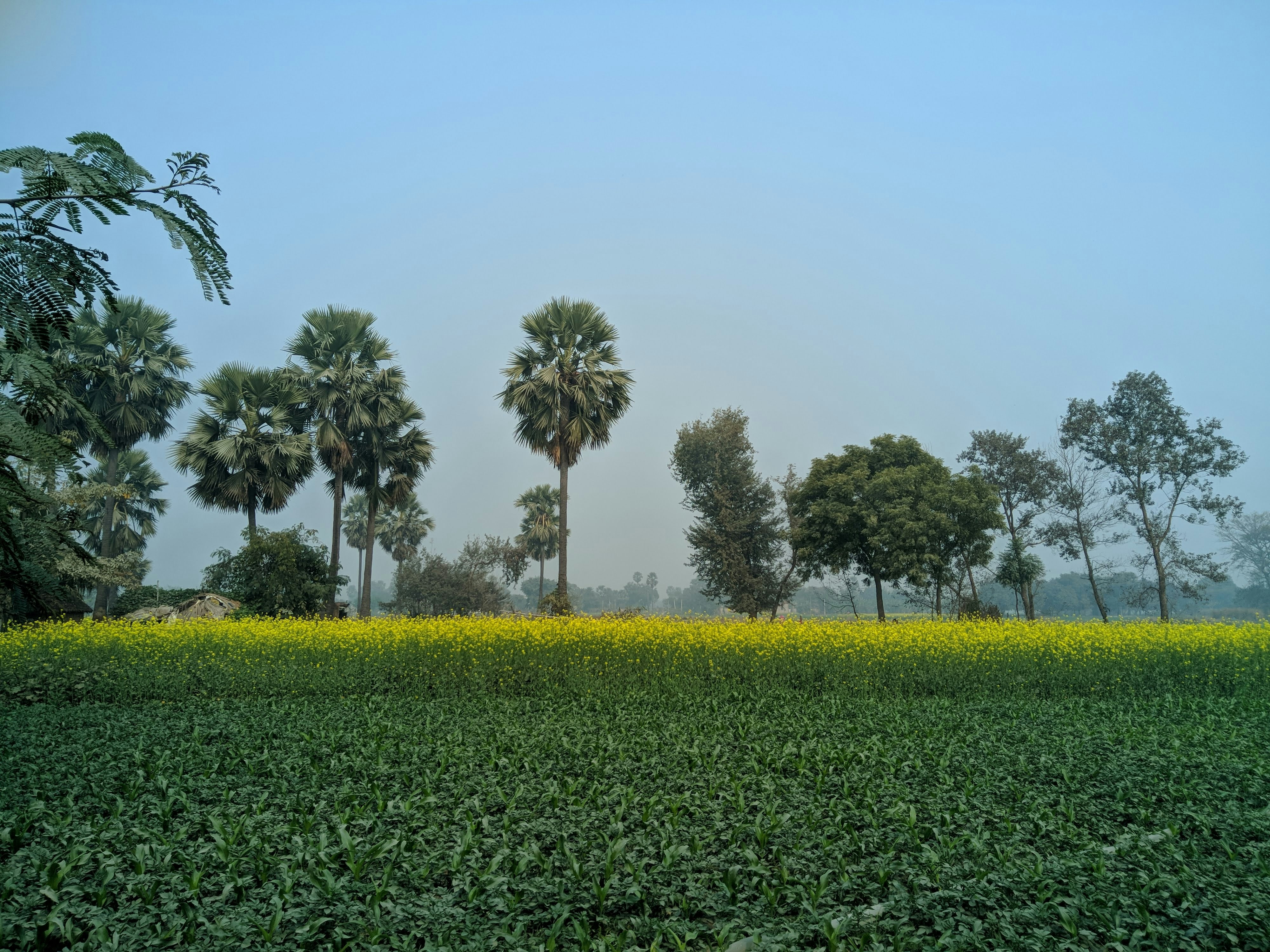 Papu Kumar (@papuruth) | Comunidade de fotos da Unsplash