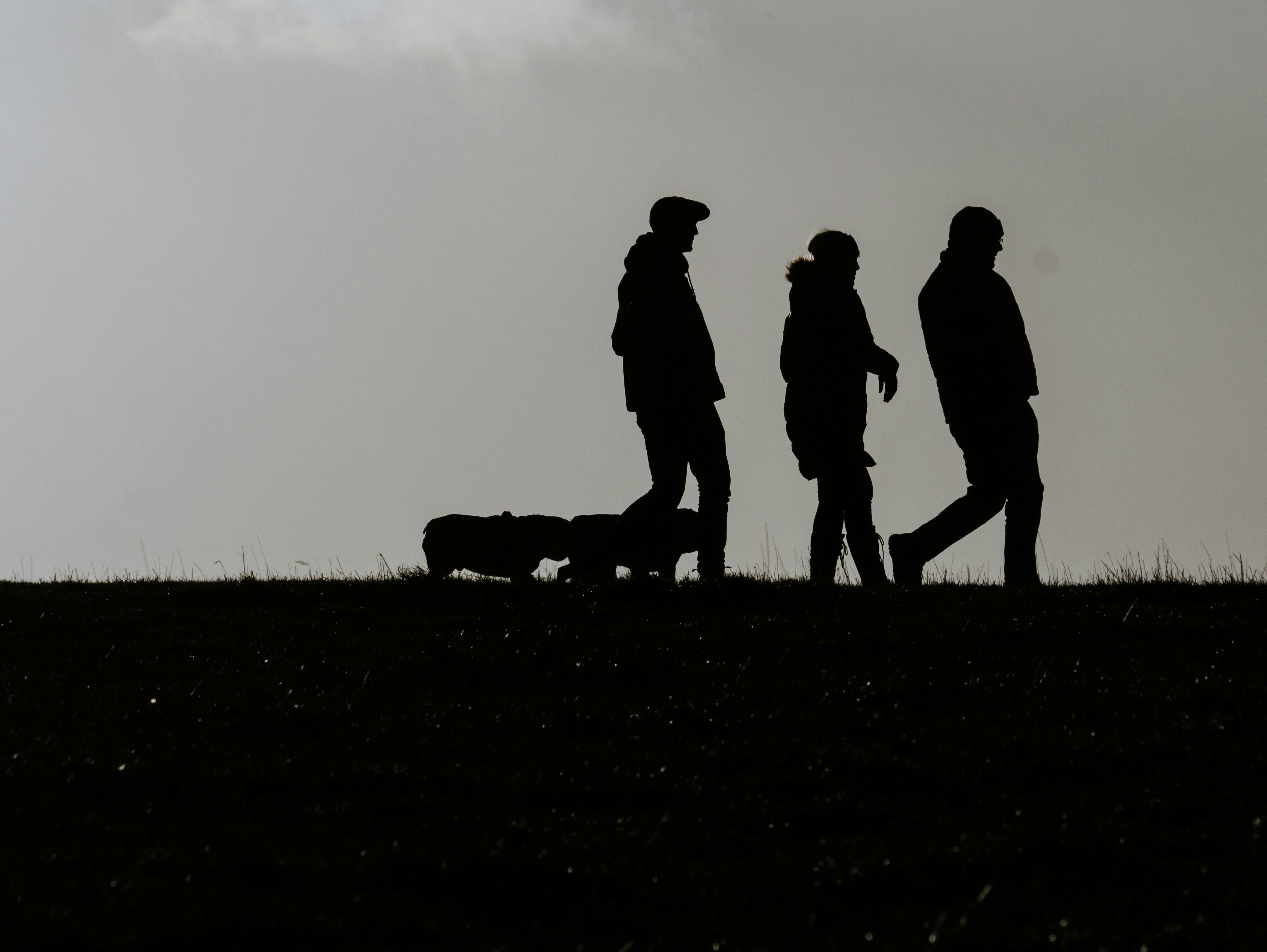 Horizon Silhouettes: Three Walkers and a Dog