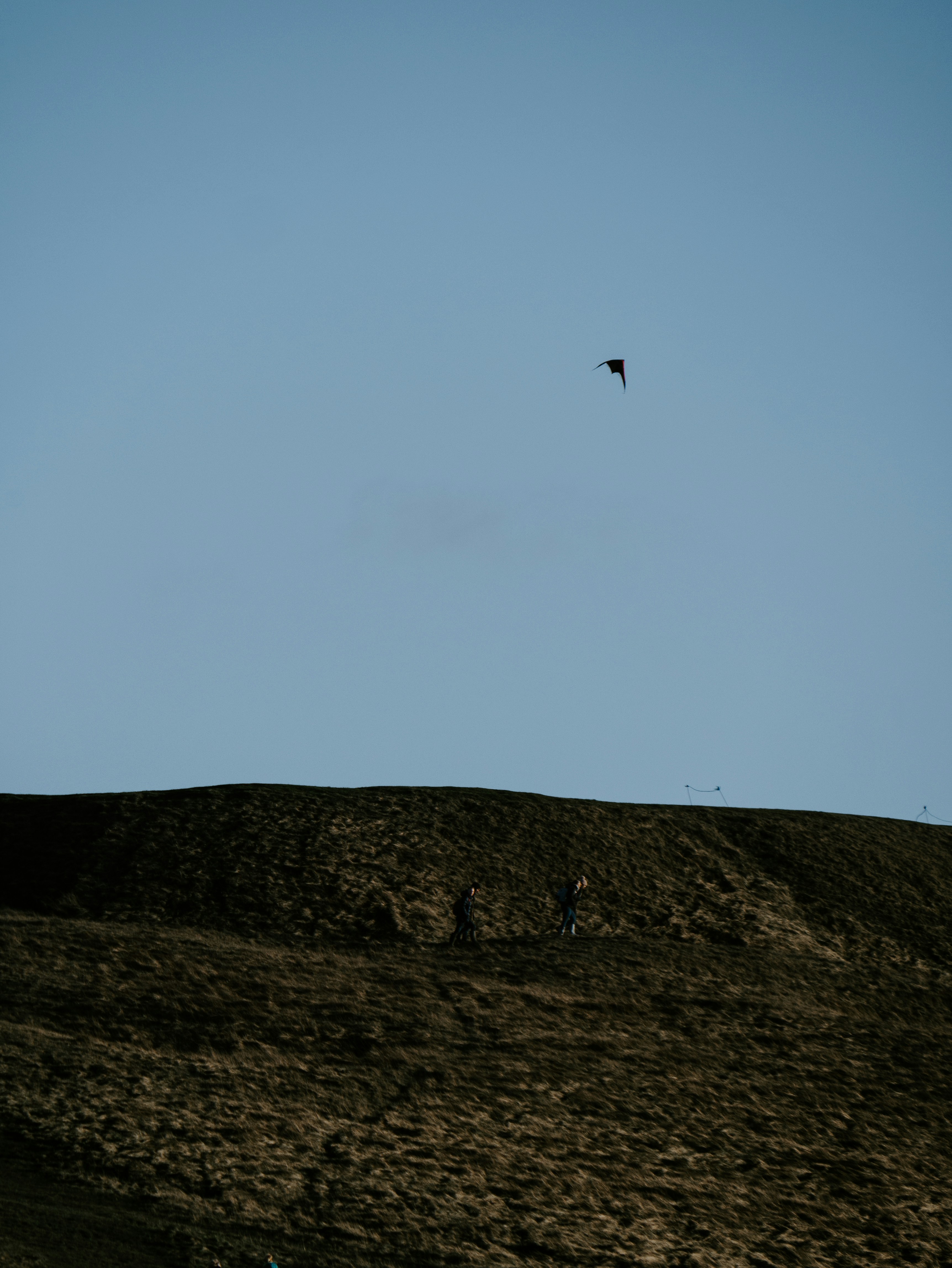 Ridge Walkers and a Soaring Silhouette