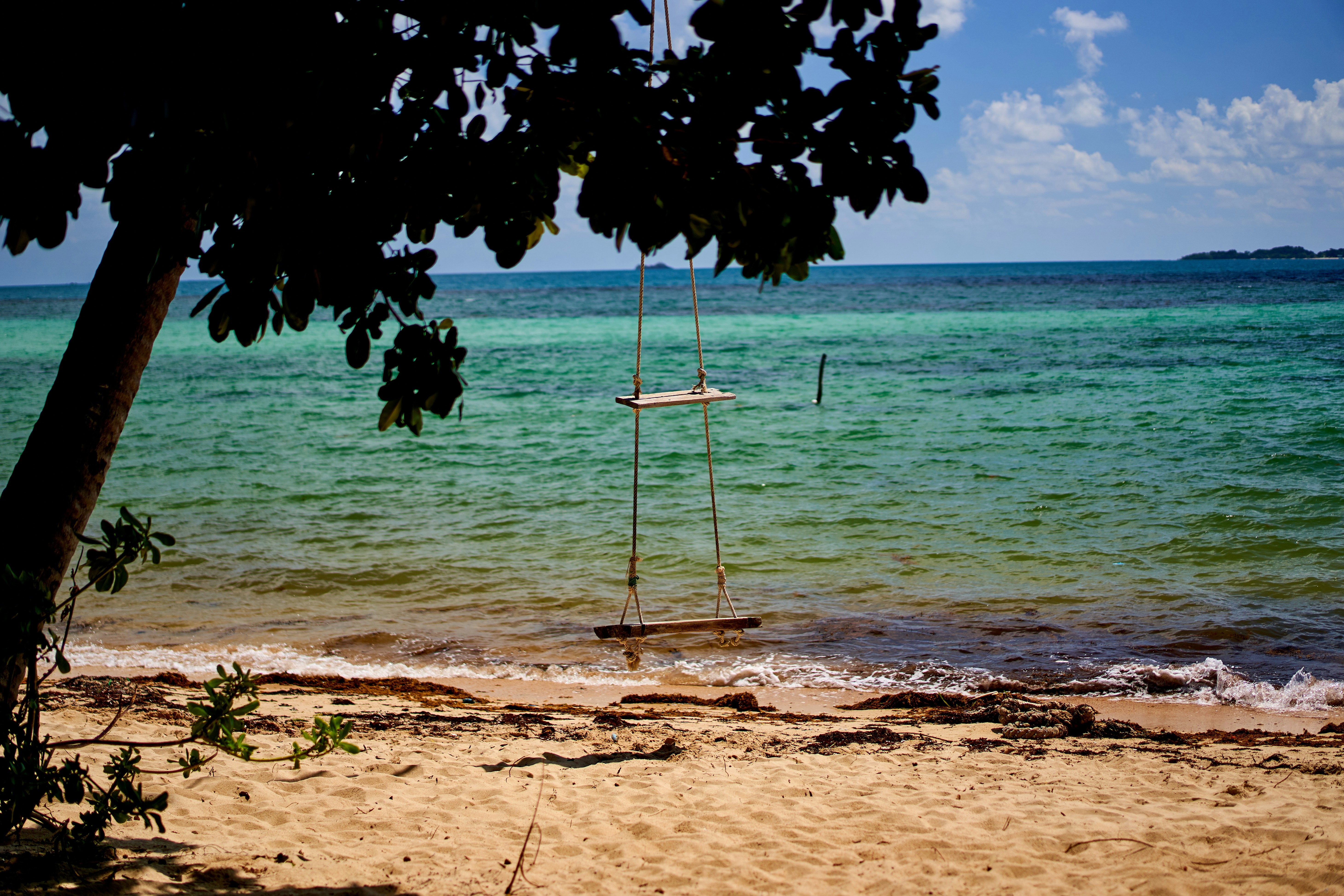 Brown wooden swing on beach during daytime photo – Free Tean island ...