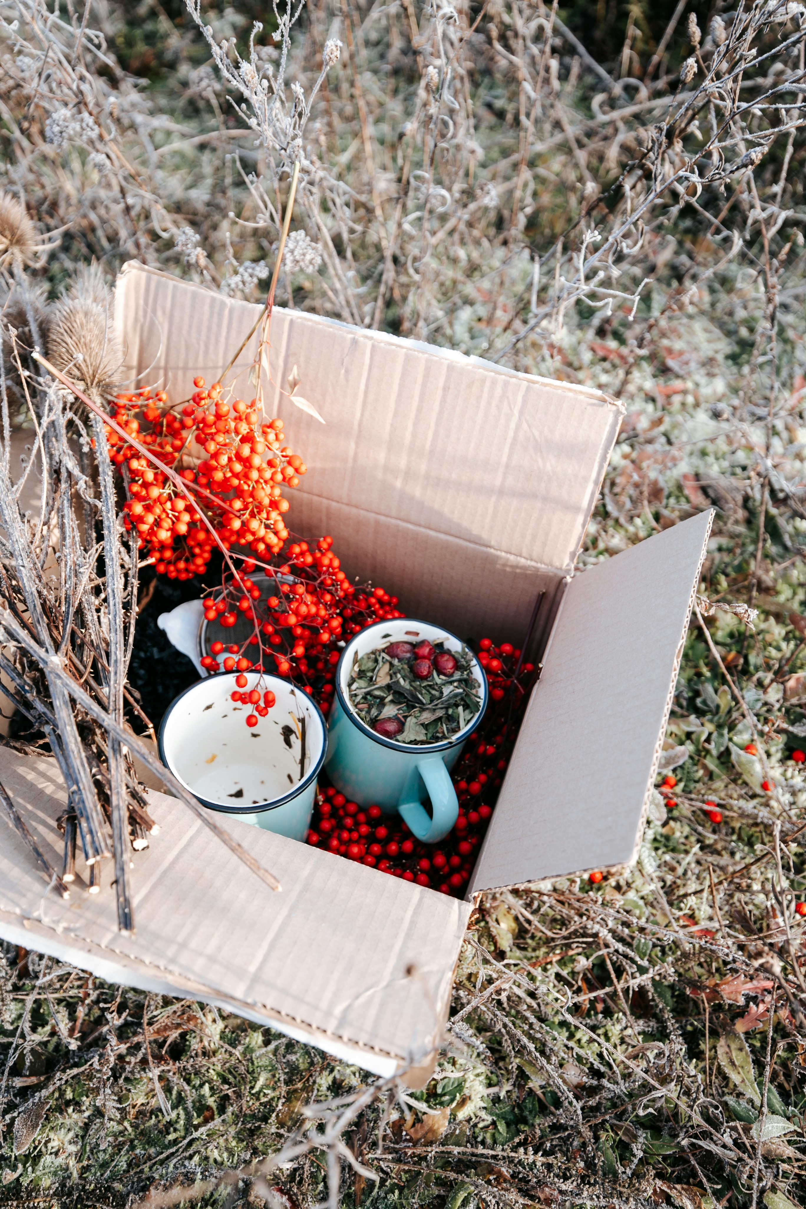 Cardboard Box of Autumn Keepsakes: Red Berries, Mugs, and Greenery