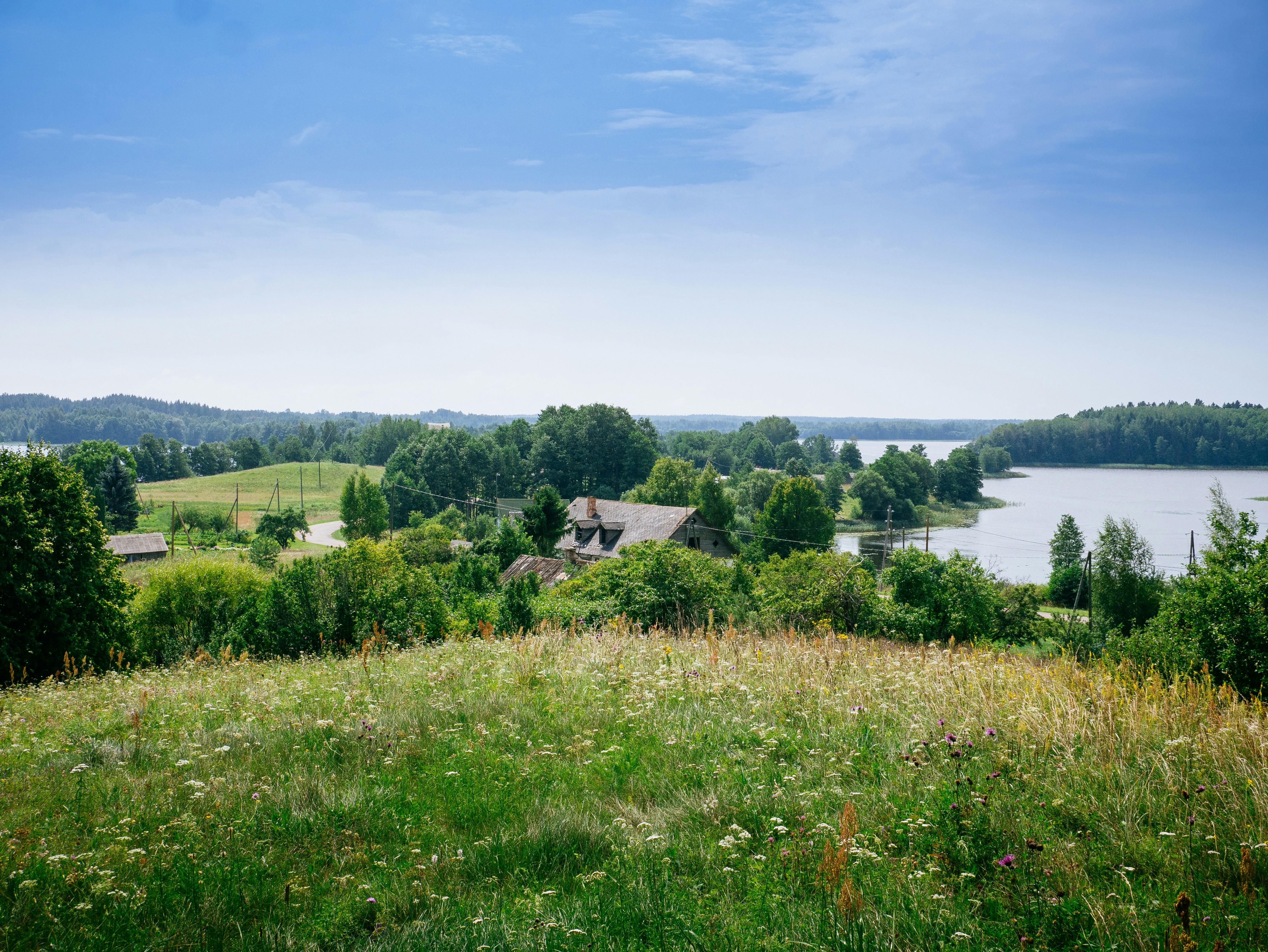 Green grass field near body of water during daytime photo – Free Latvia ...
