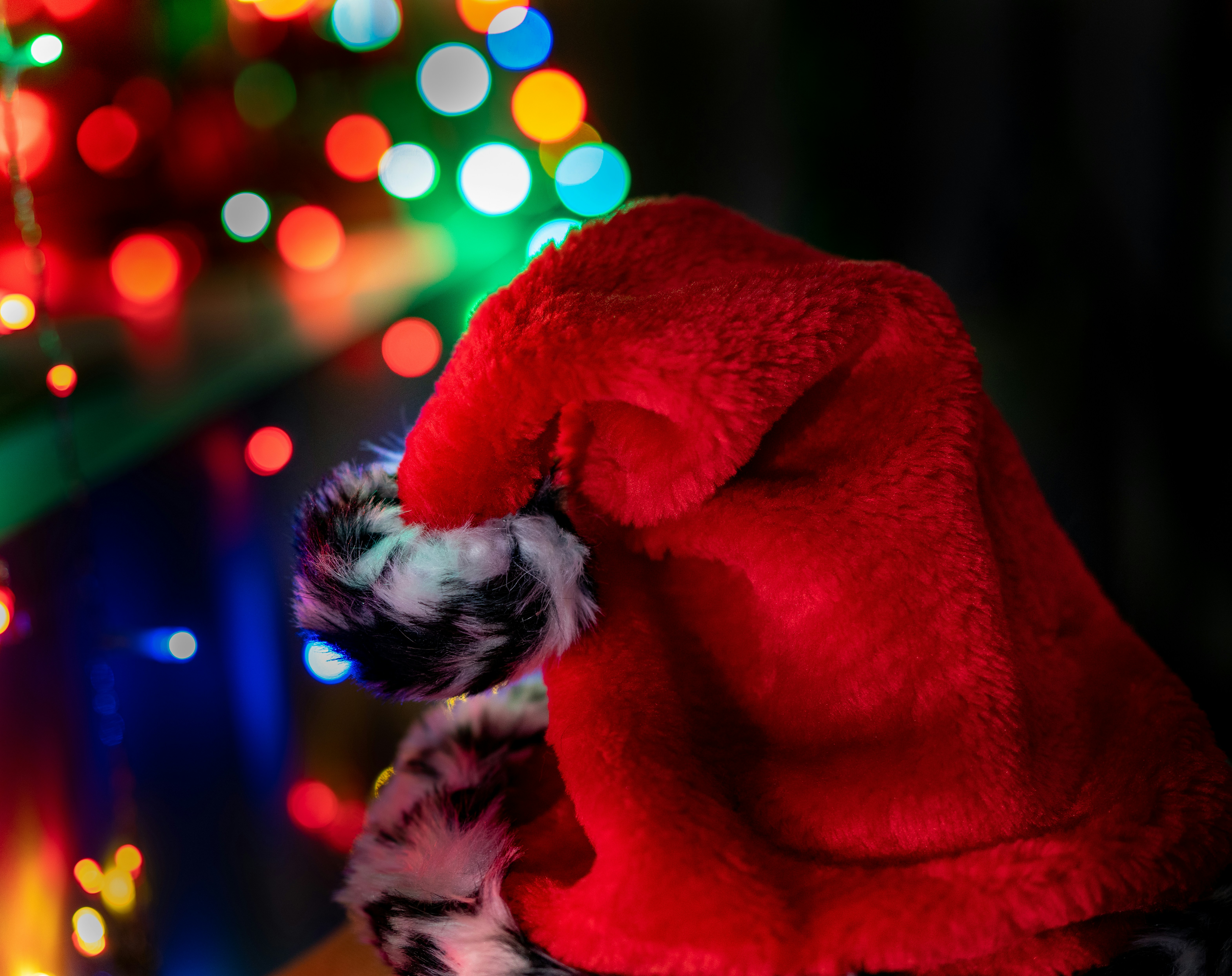 Red Santa Hat in Warm Neon Glow